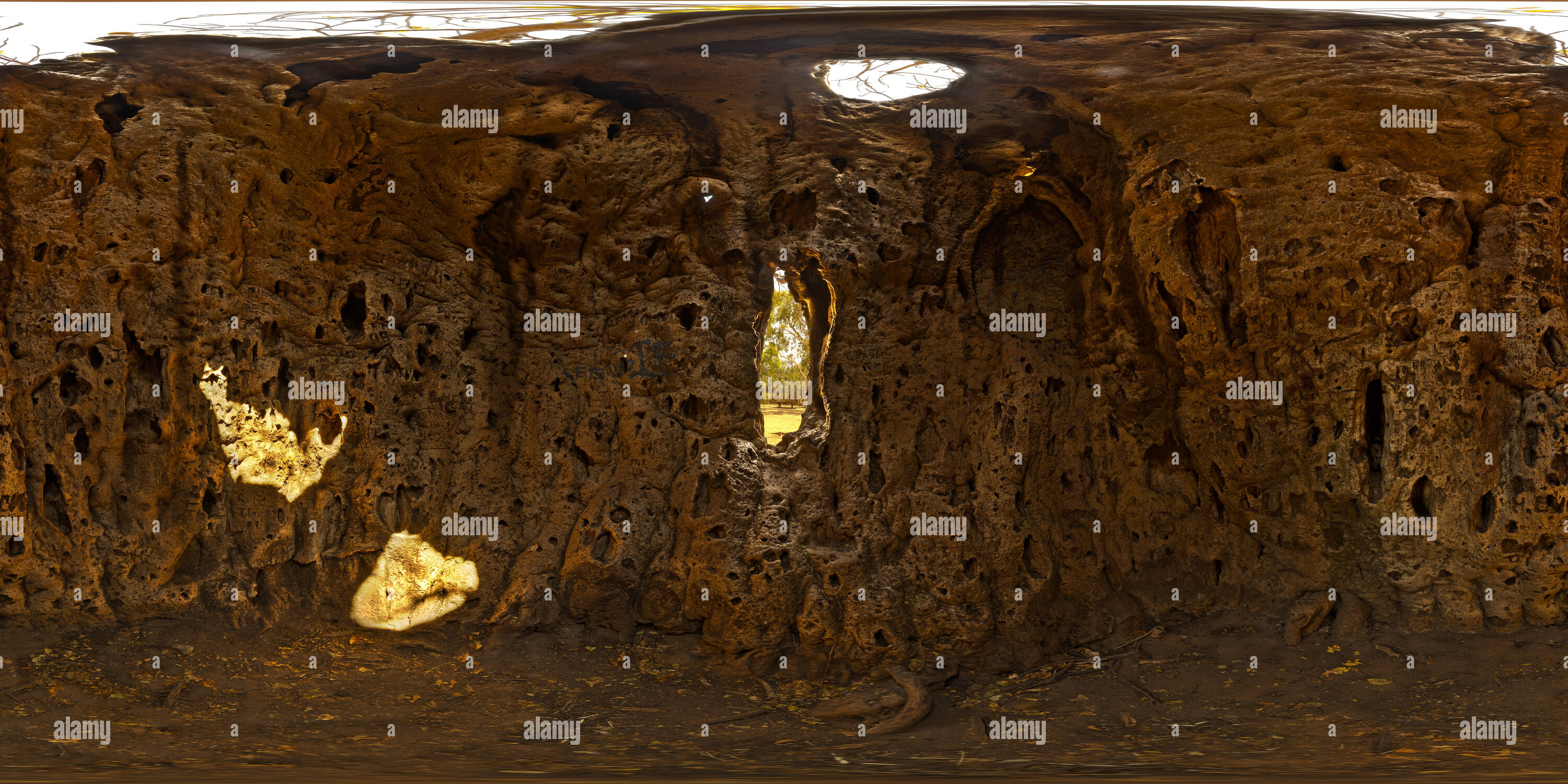 360° view of The Prison Boab Tree - Alamy