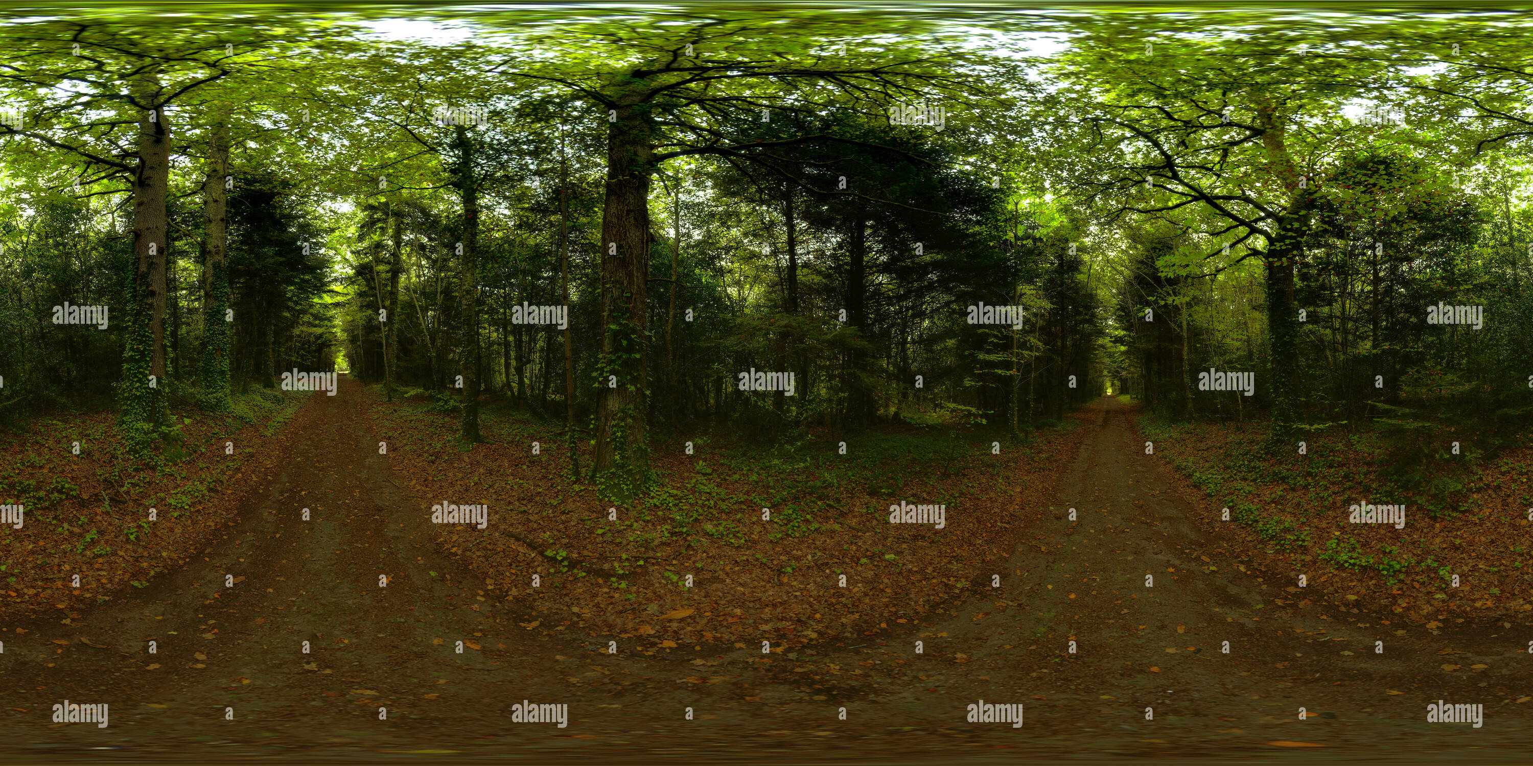 360° view of Forêt mixte, Beg ar Vir, Kergos, Clohars-Fouesnant ...