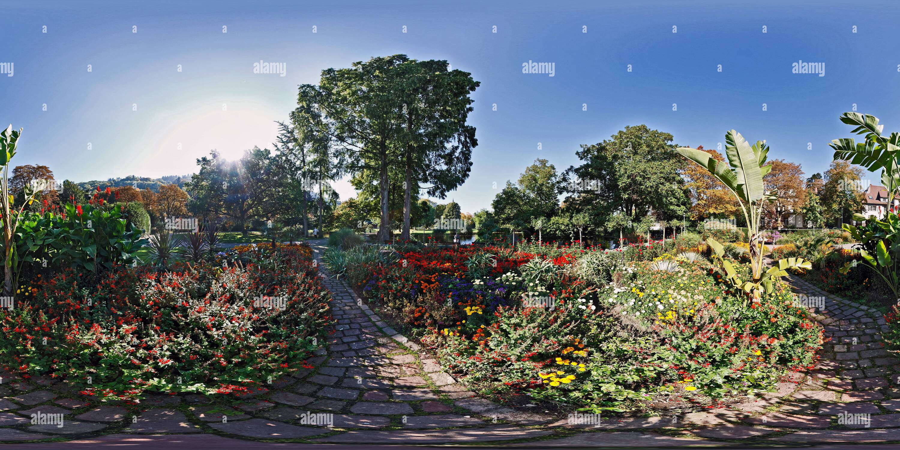 Stadtgarten freiburg hi-res stock photography and images - Alamy