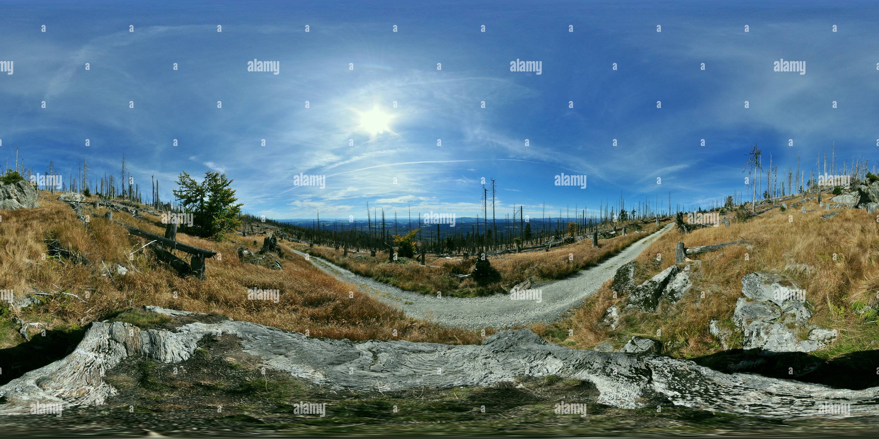360° view of Rachel - View from the footpath - Alamy