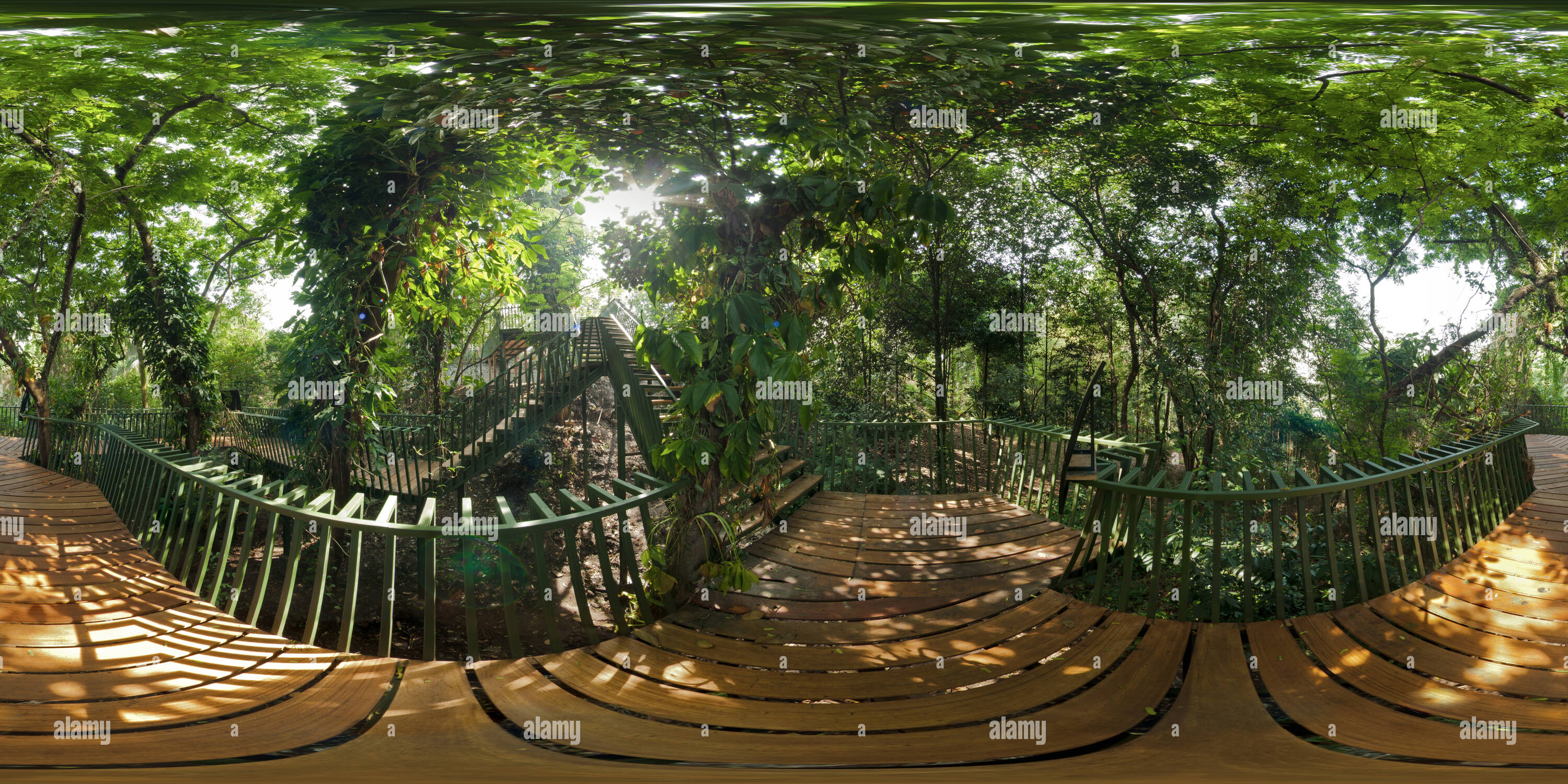 360° view of Forest Corridor A, Babakan Siliwangi, Bandung - Alamy