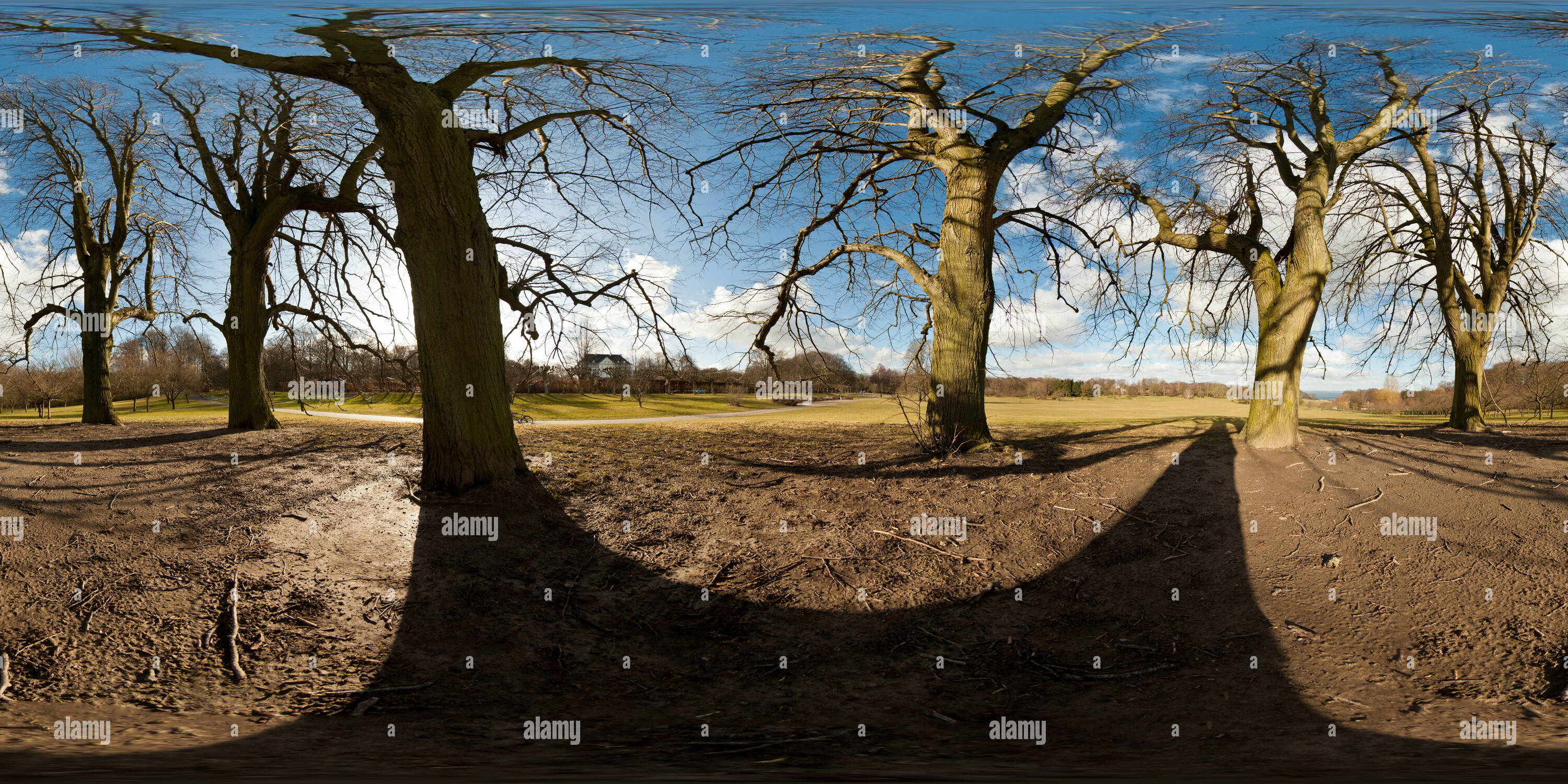 360° view of Ring Of Trees - Alamy