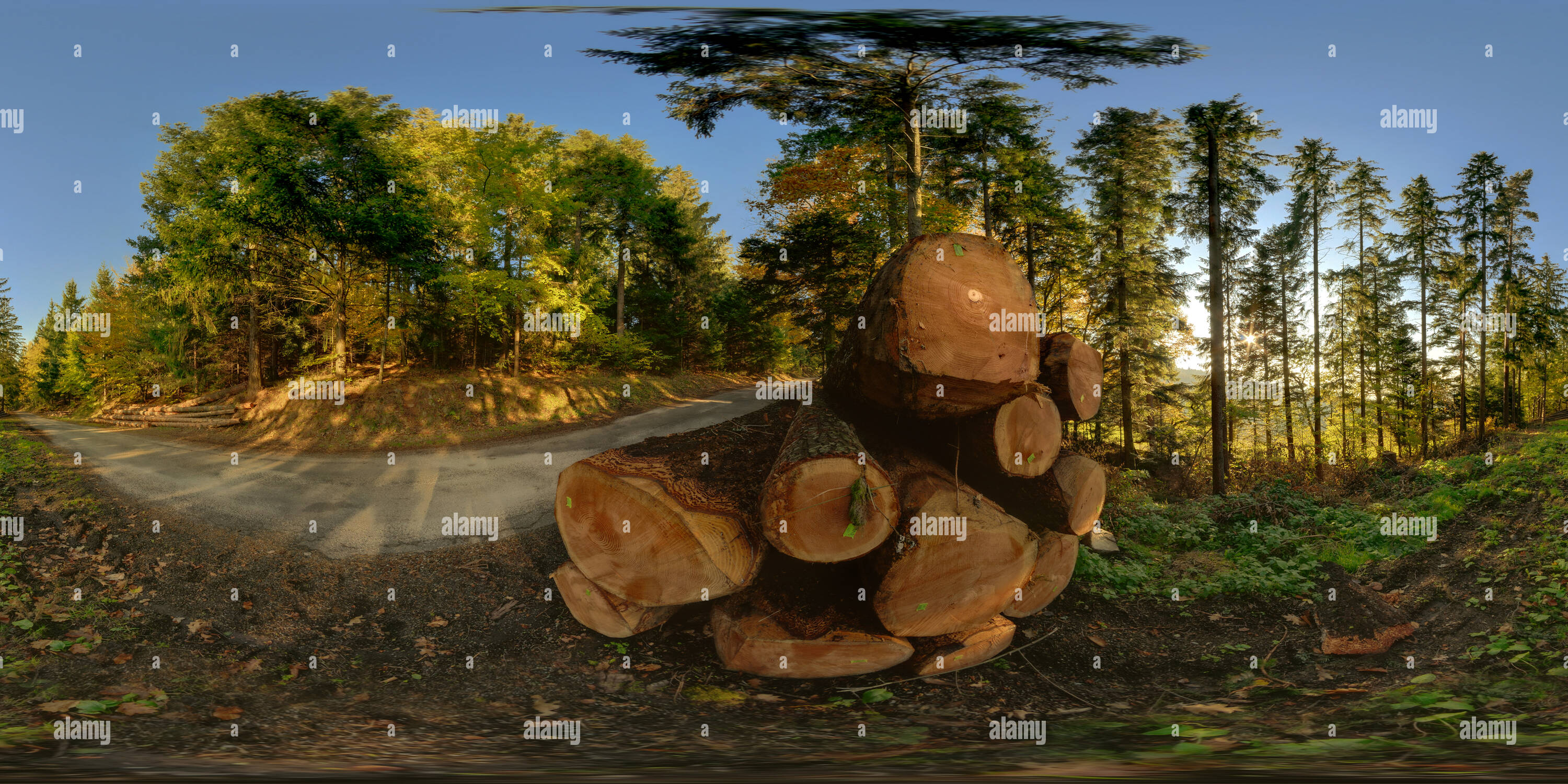 Grume hi-res stock photography and images - Alamy