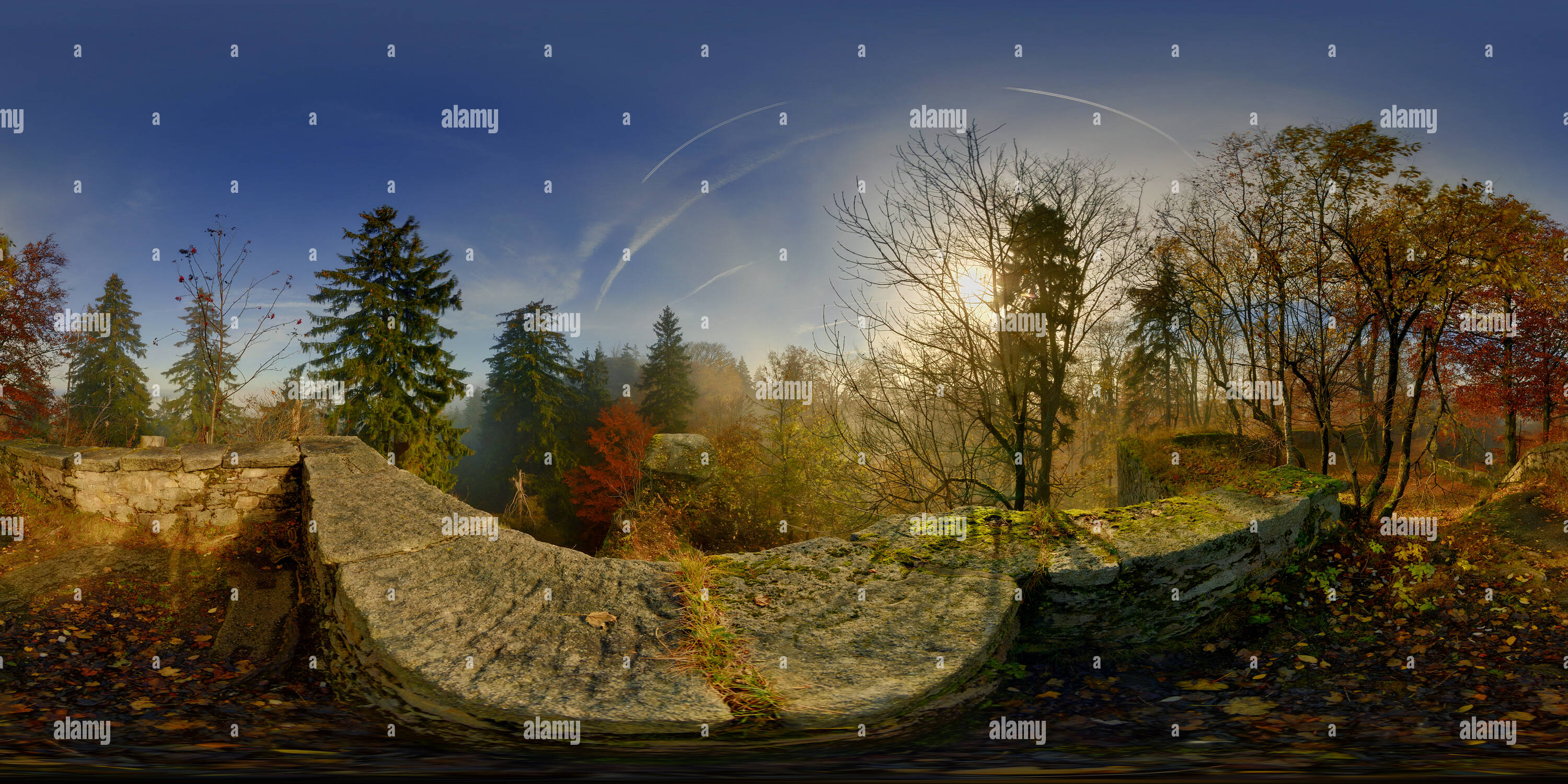 Grosser waldstein hi-res stock photography and images - Alamy