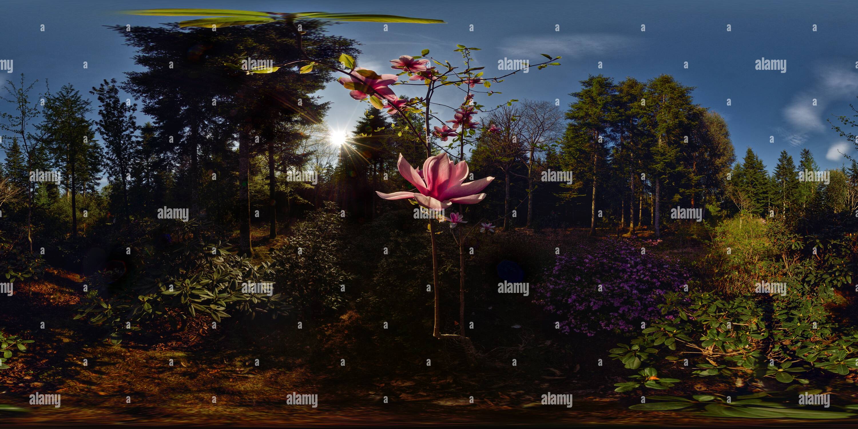 360° view of Magnolie Parc de Boutiguery Gouesnach Finistere France ...