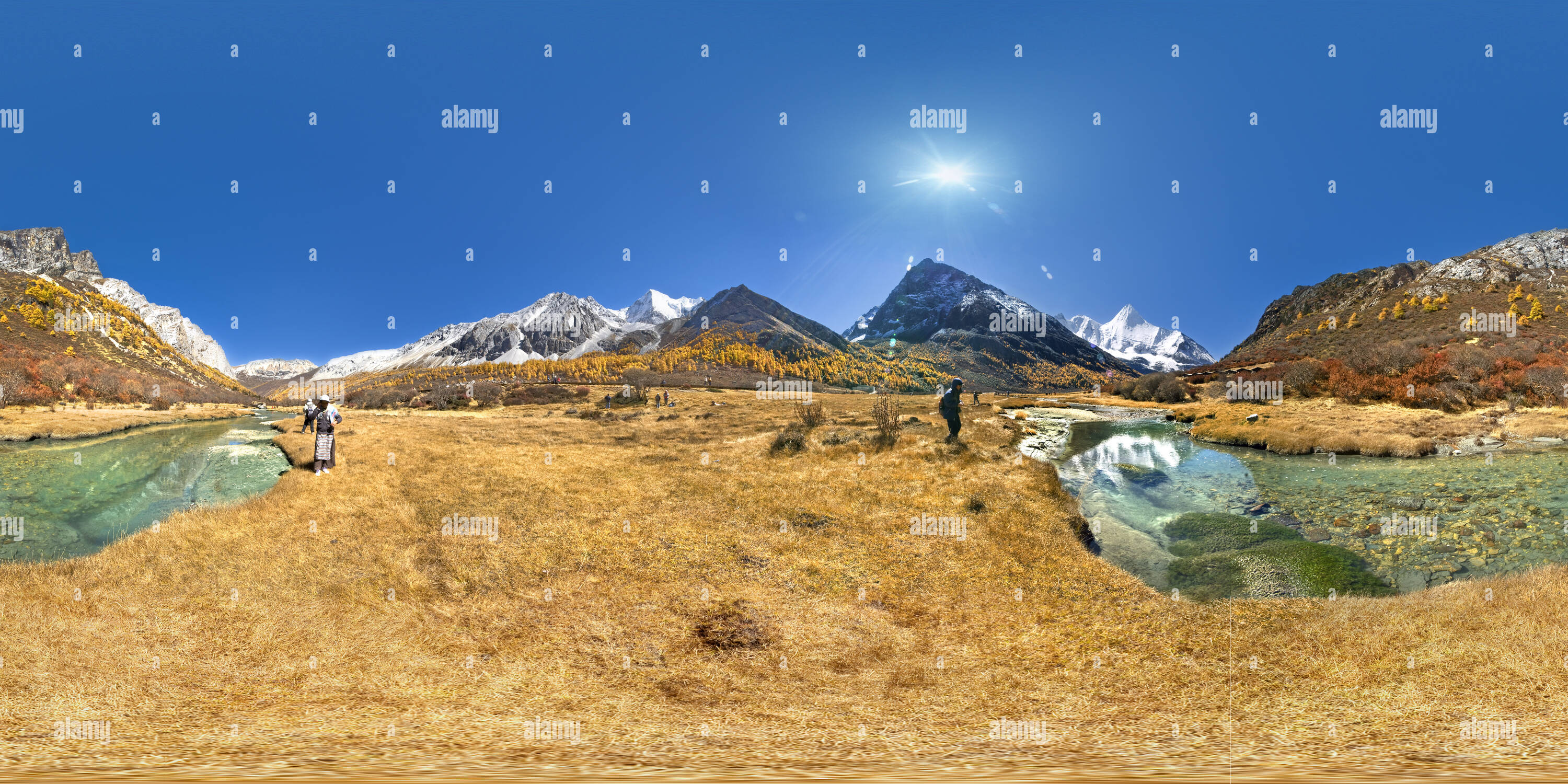 Luorong cattle farm gongga silver rvier daocheng yading sichuan hi-res ...