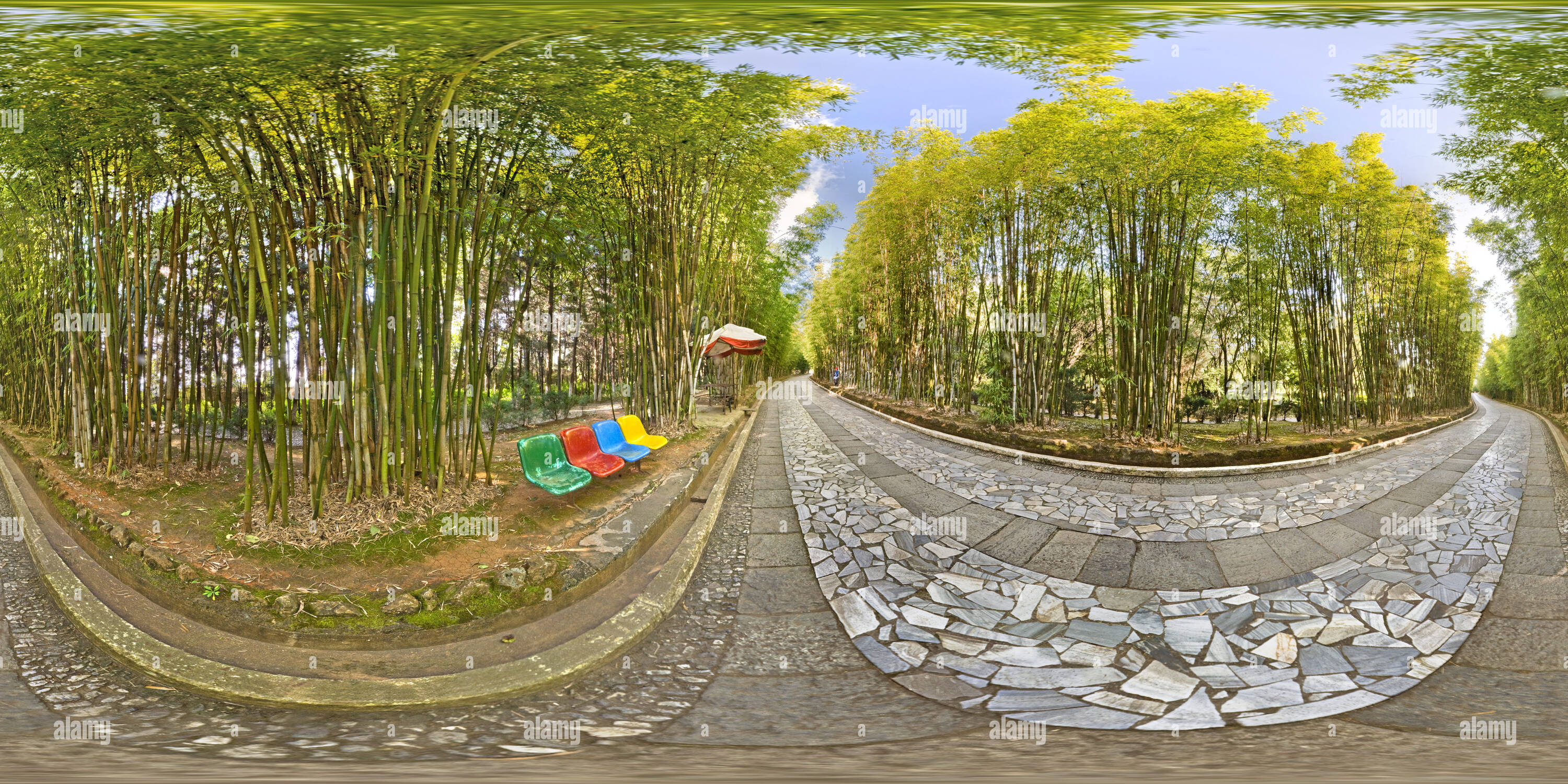 360° view of yunnan Ancient City dali Butterfly Spring——Bamboo Forest ...
