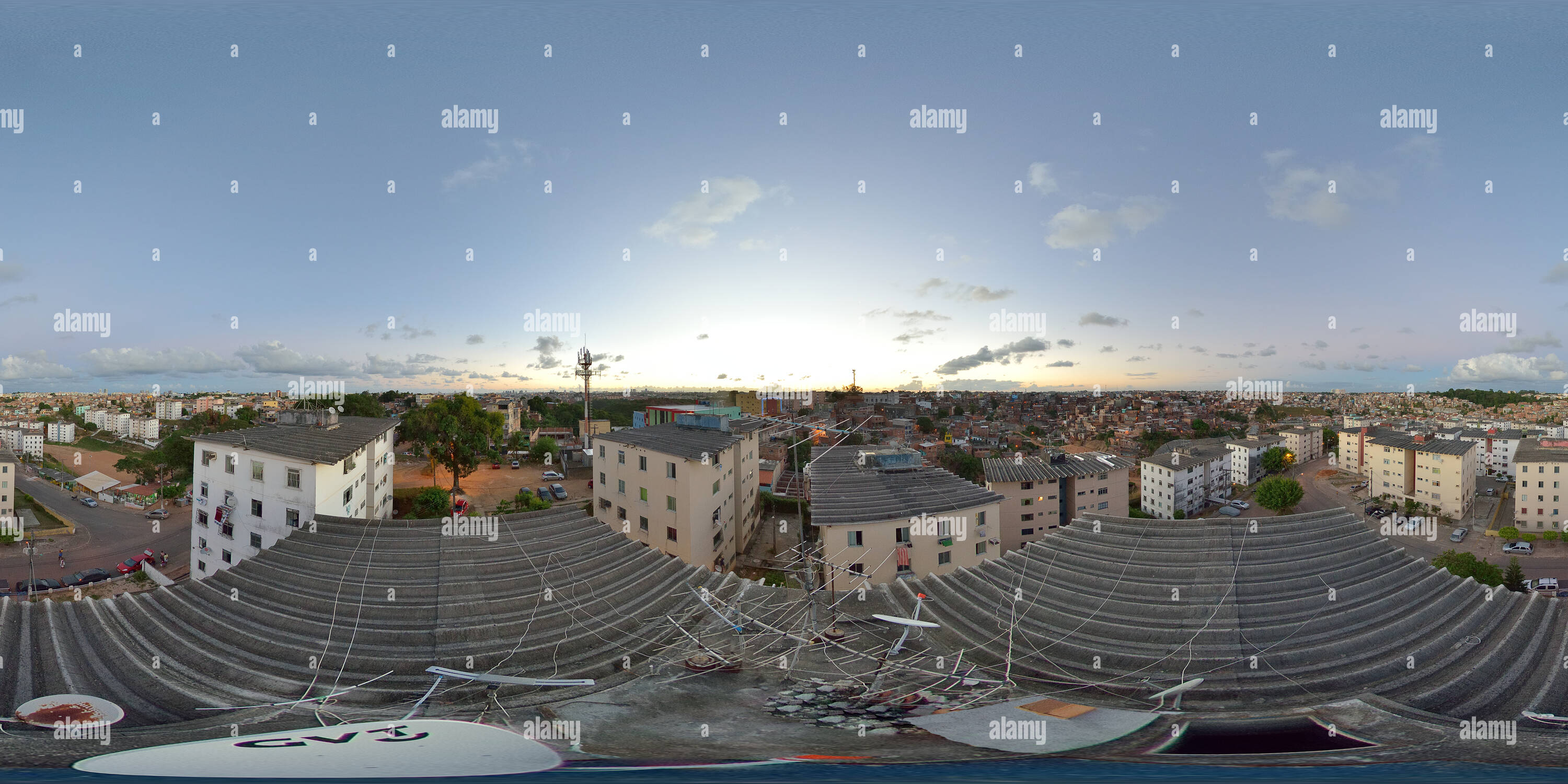 Sussuarana hi-res stock photography and images - Alamy