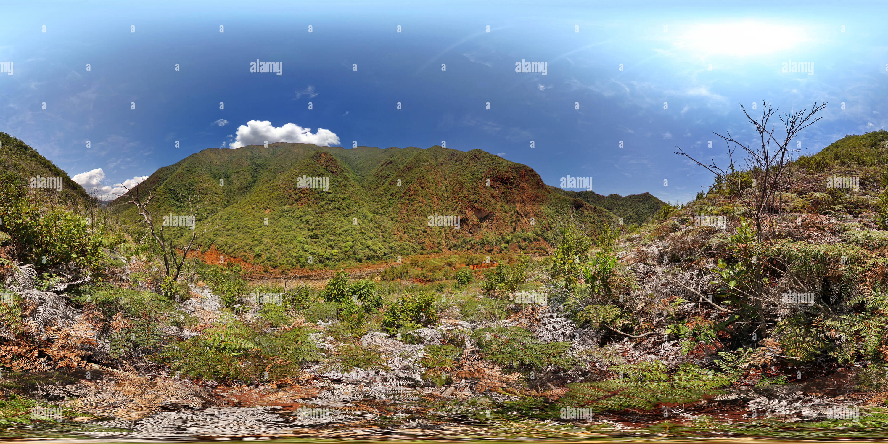 360° view of Dumbea Tumble Gorge New Caledonia - Alamy