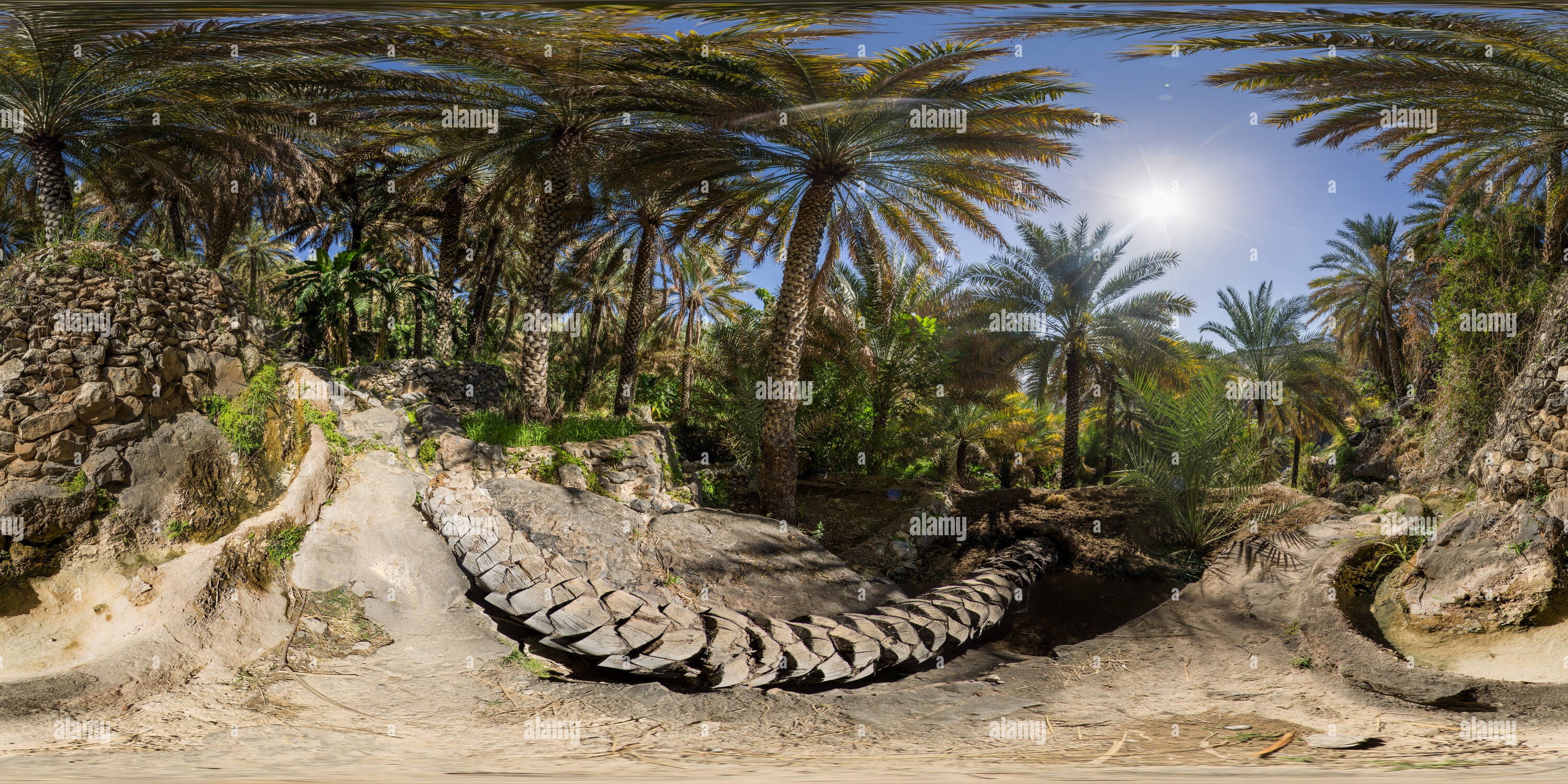 360° view of Terrace plantations and Falaj - Alamy