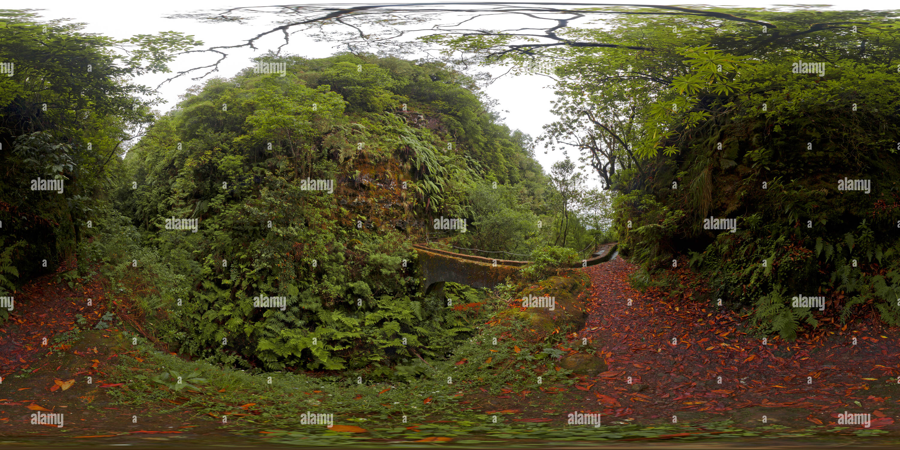 360° view of Madeira, Queimadas - Caldera Verde - Alamy