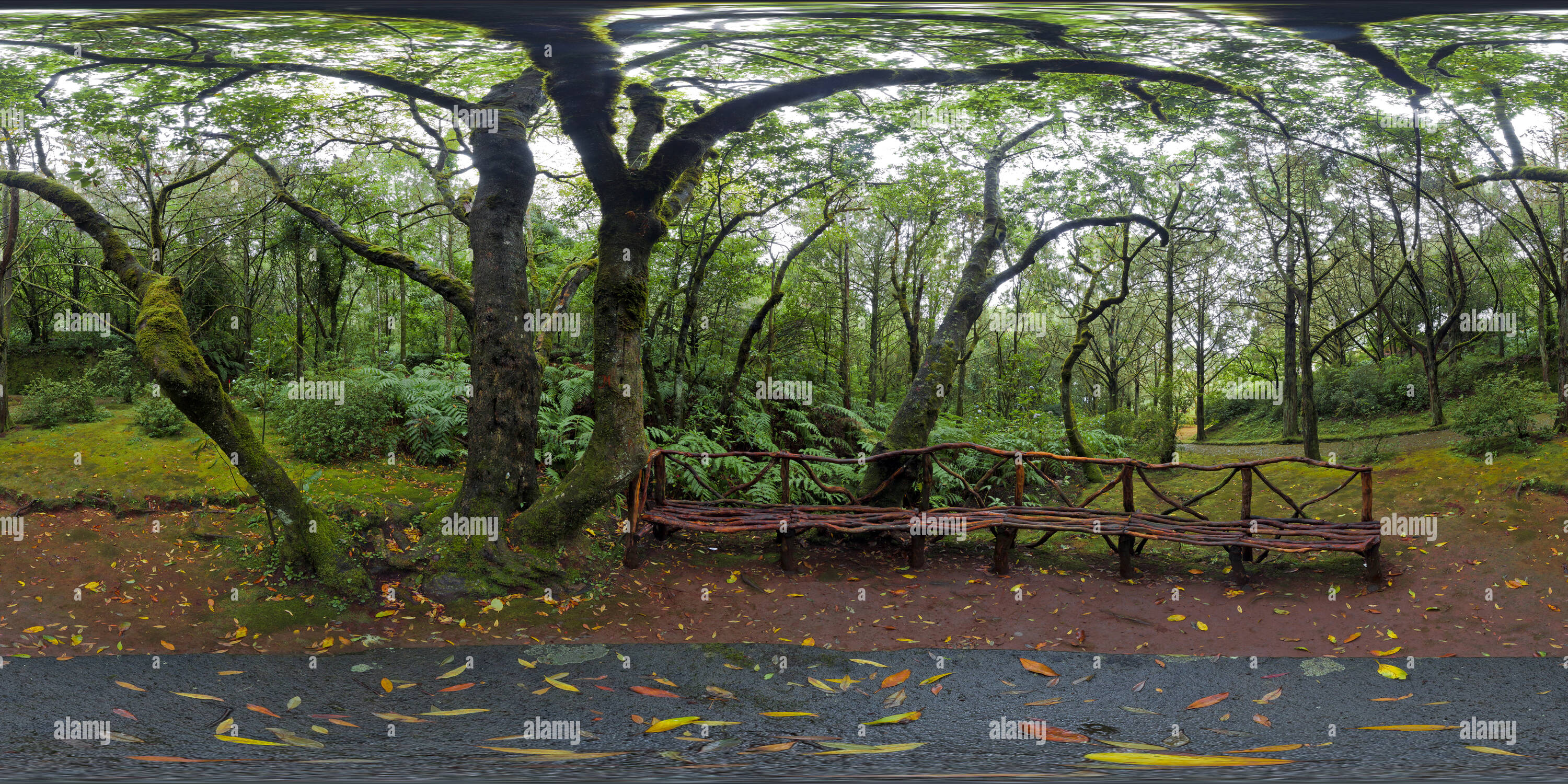 Queimadas park hi-res stock photography and images - Alamy