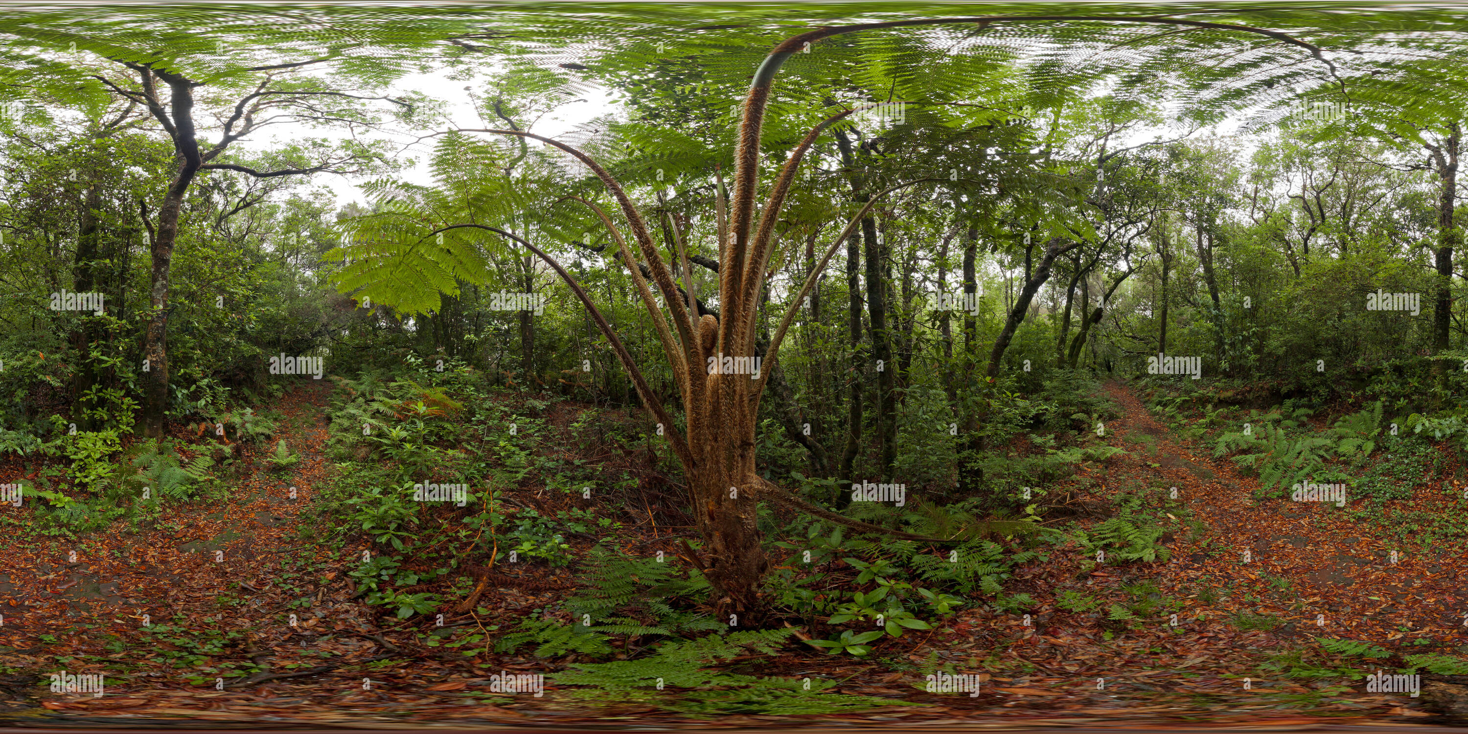 Queimadas park hi-res stock photography and images - Alamy