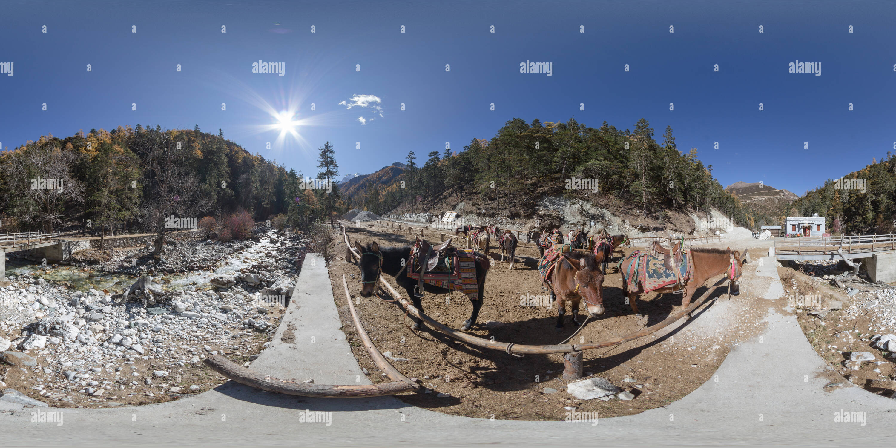360° view of Sichuan Inagi Aden scenic -1-10 (Horse Station - Alamy
