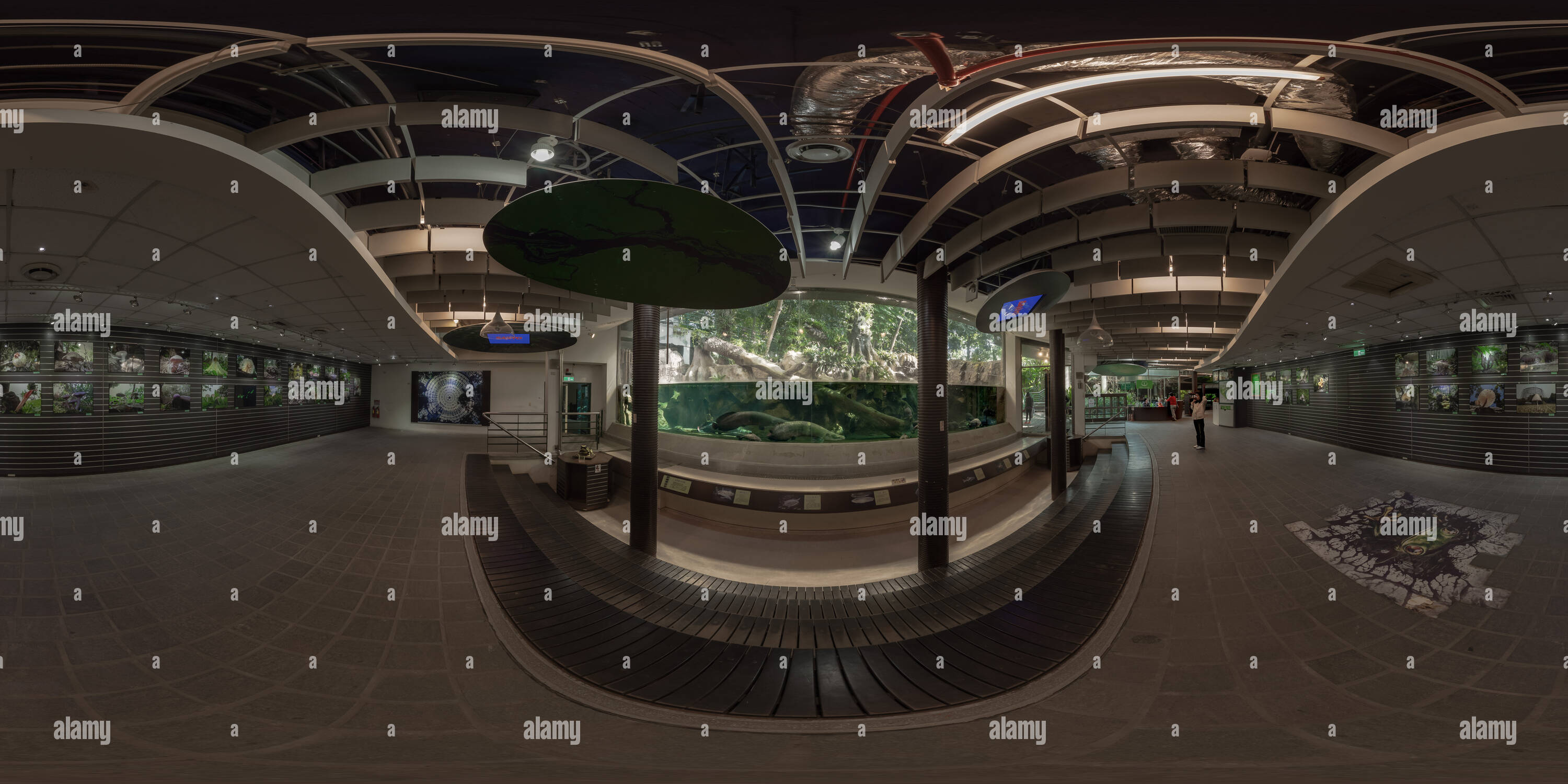 360° view of Taiwan - Taichung City - Arboretum-4 - Alamy