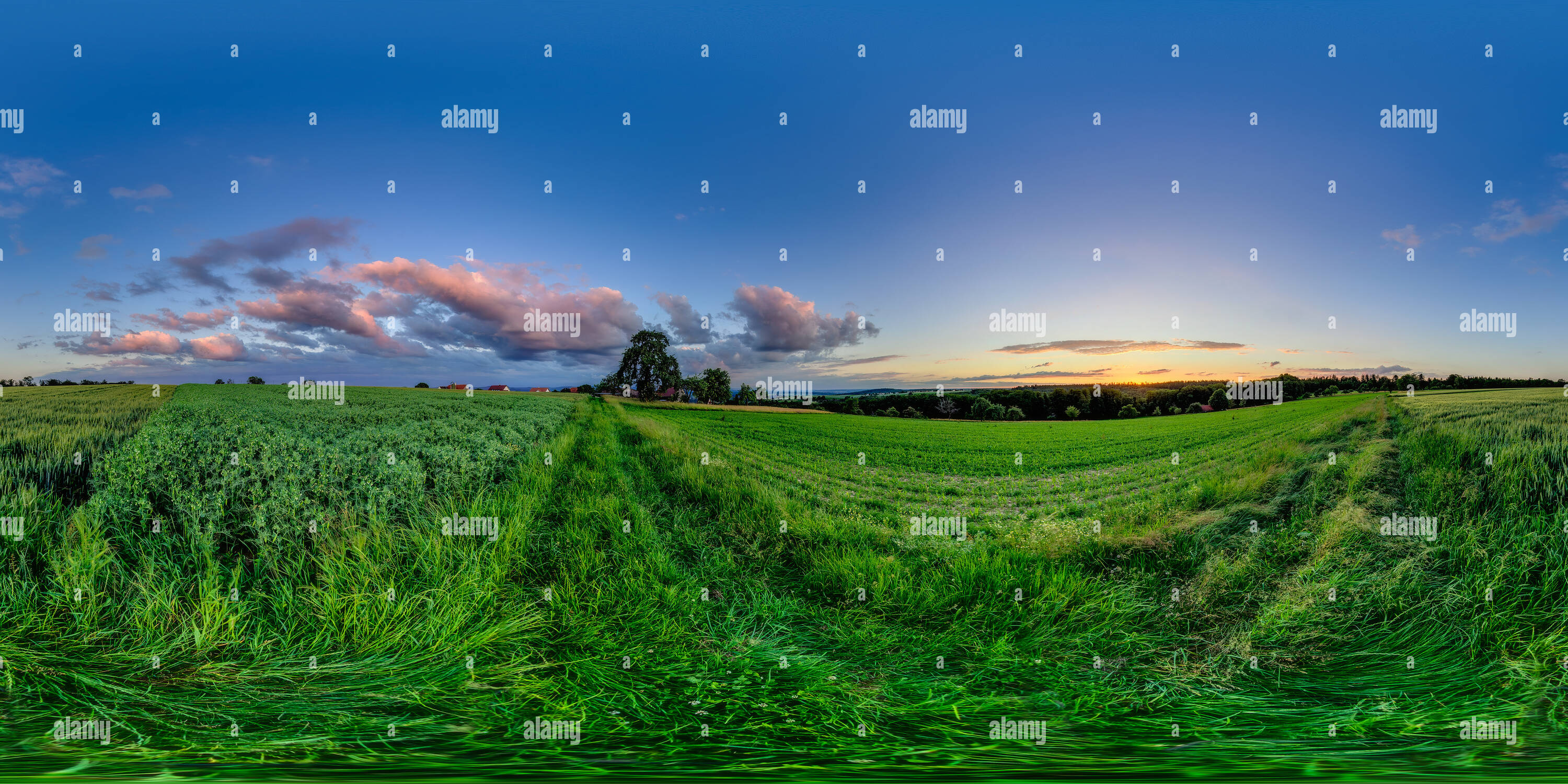 360° view of Sunset at the summer solstice - Alamy