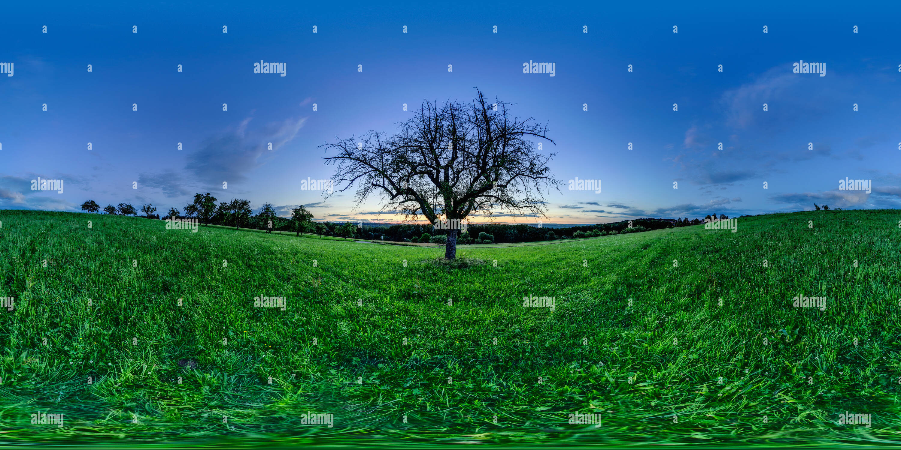 360° view of Evening at the day of summer solstice - Alamy