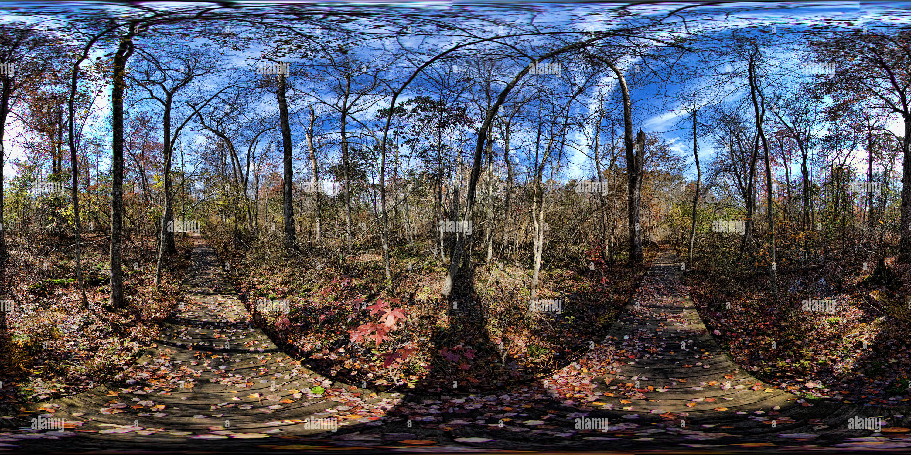 360° view of Ancient Peat Bog - Alamy