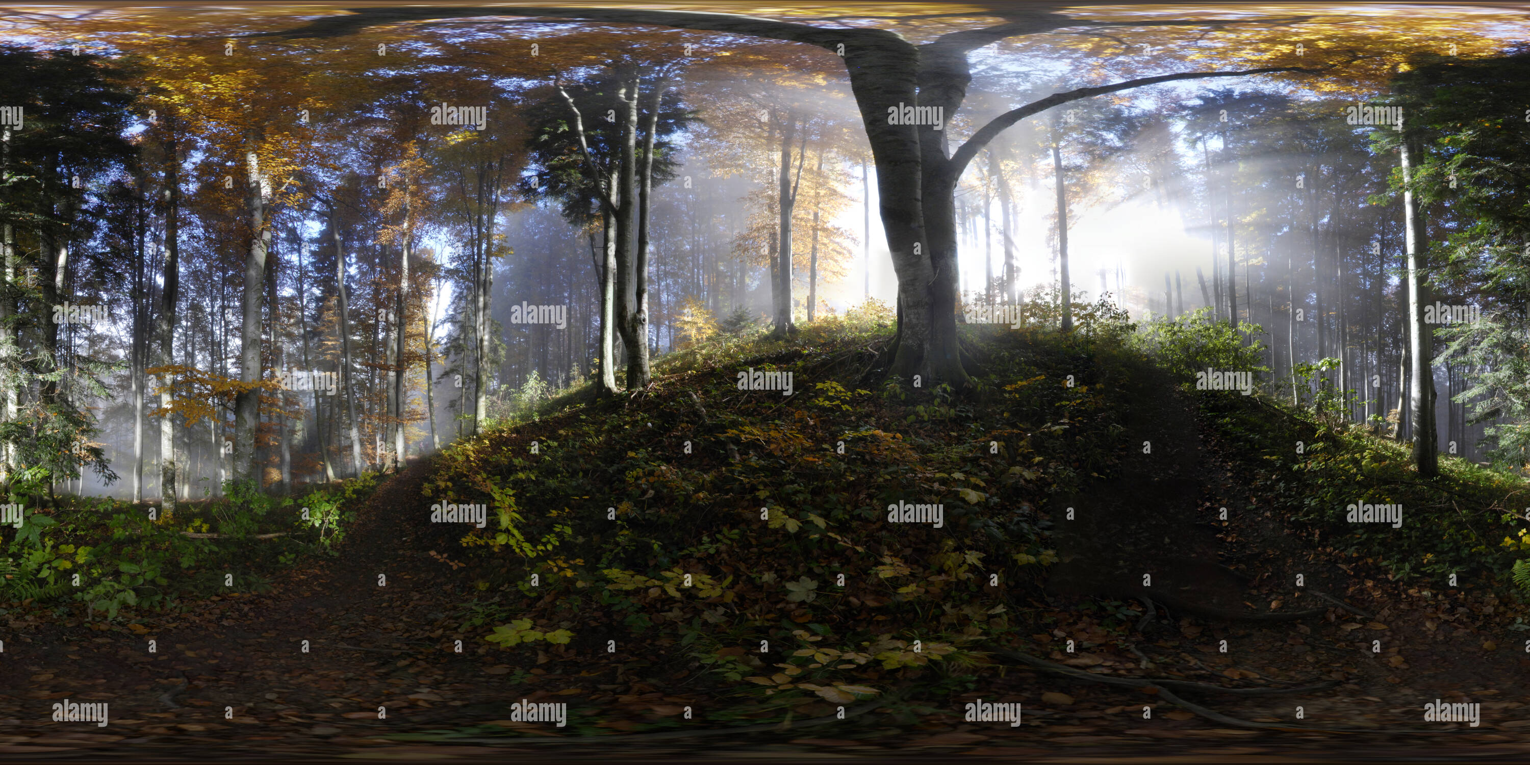 Gruenberg hi-res stock photography and images - Alamy