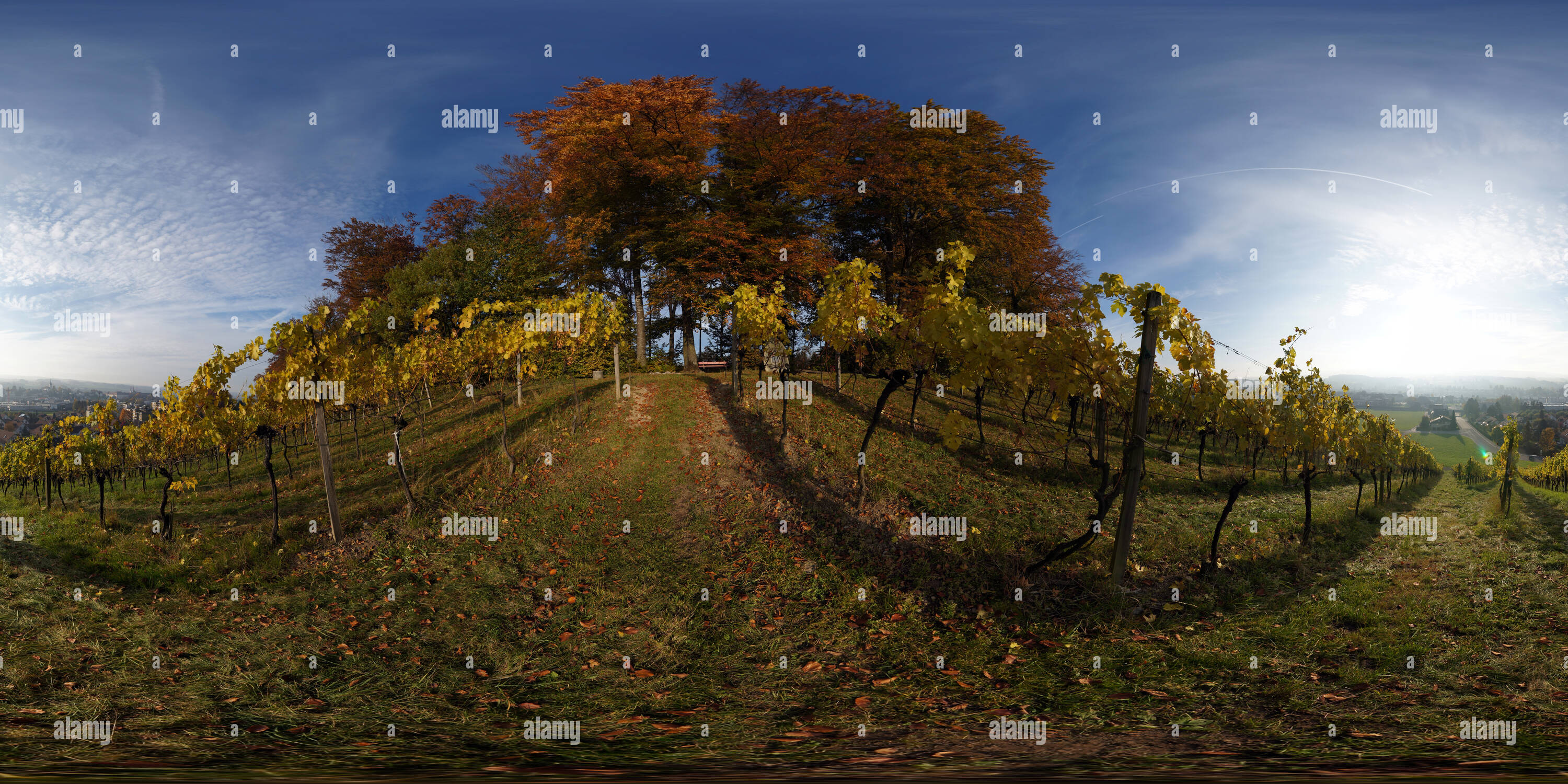 360° view of Switzerland Muri Rebberg Vineyard Autumn - Alamy