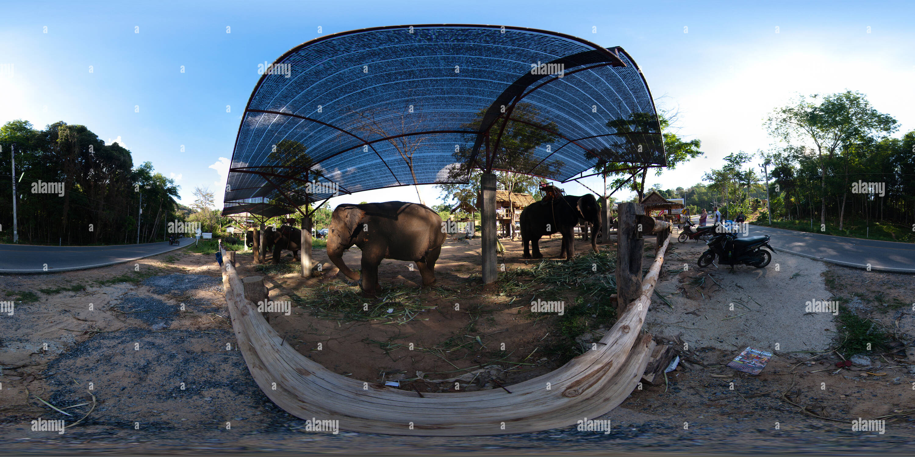 360° view of Elephant farm near Karon viepoint - Alamy