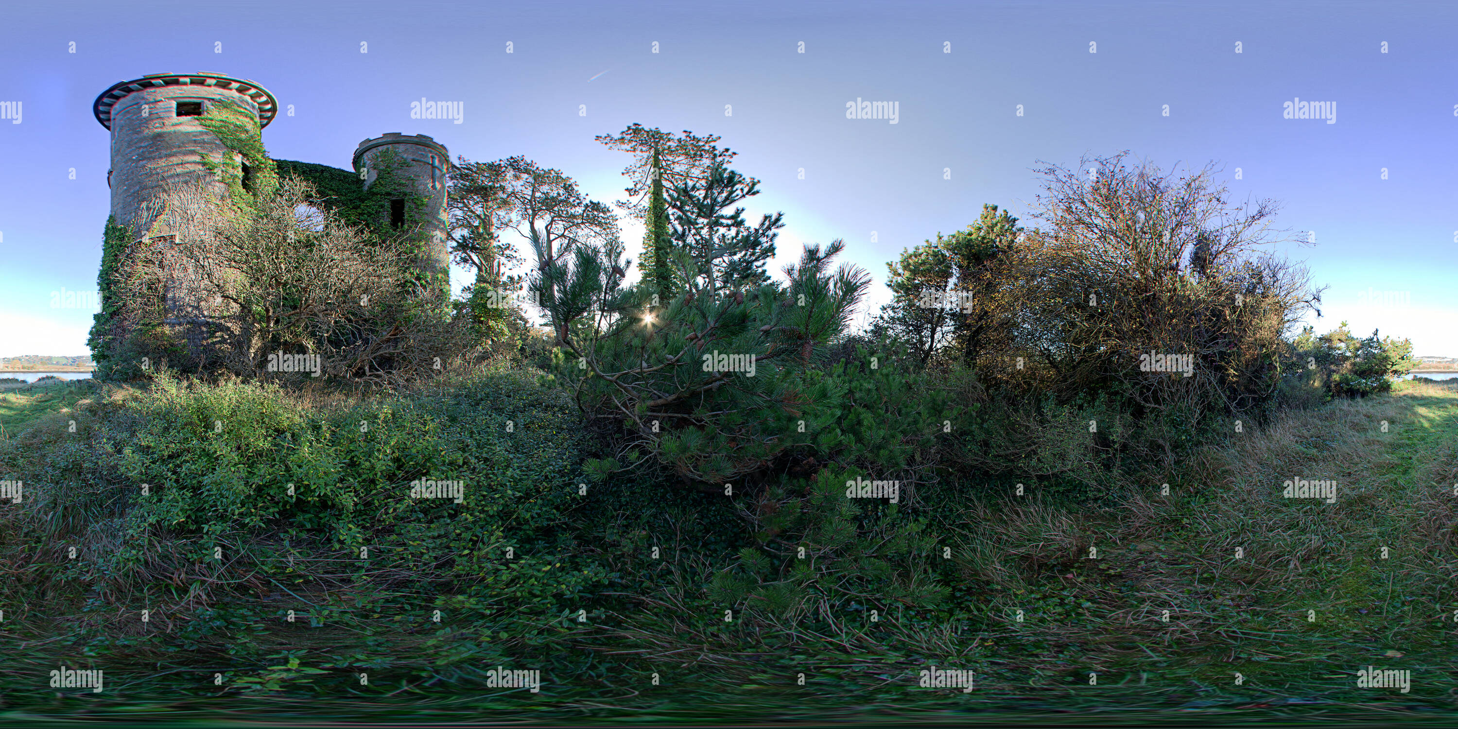 360° view of Fota Castle back - Alamy