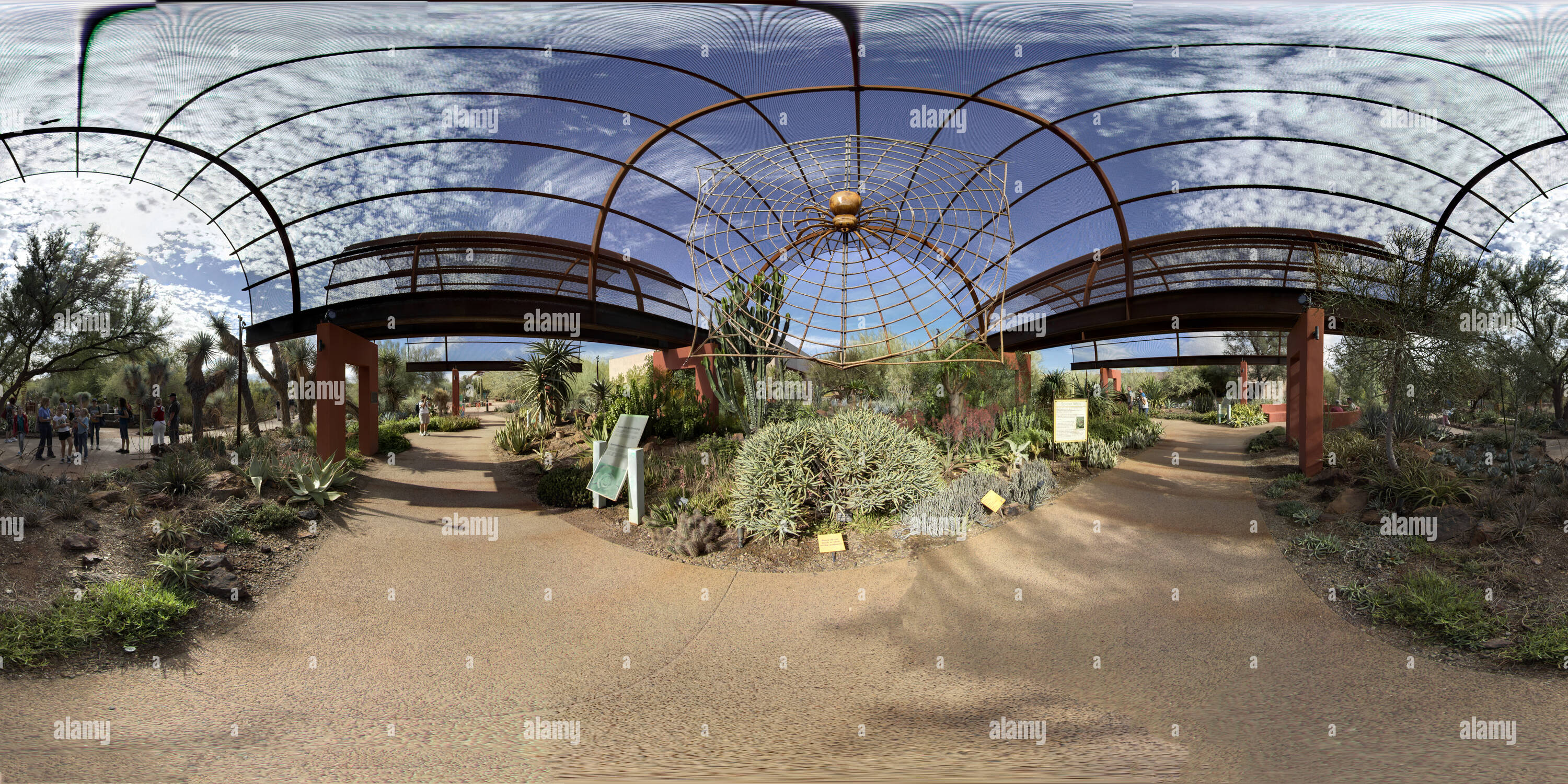 Desert Botanical Garden Phoenix Arizona