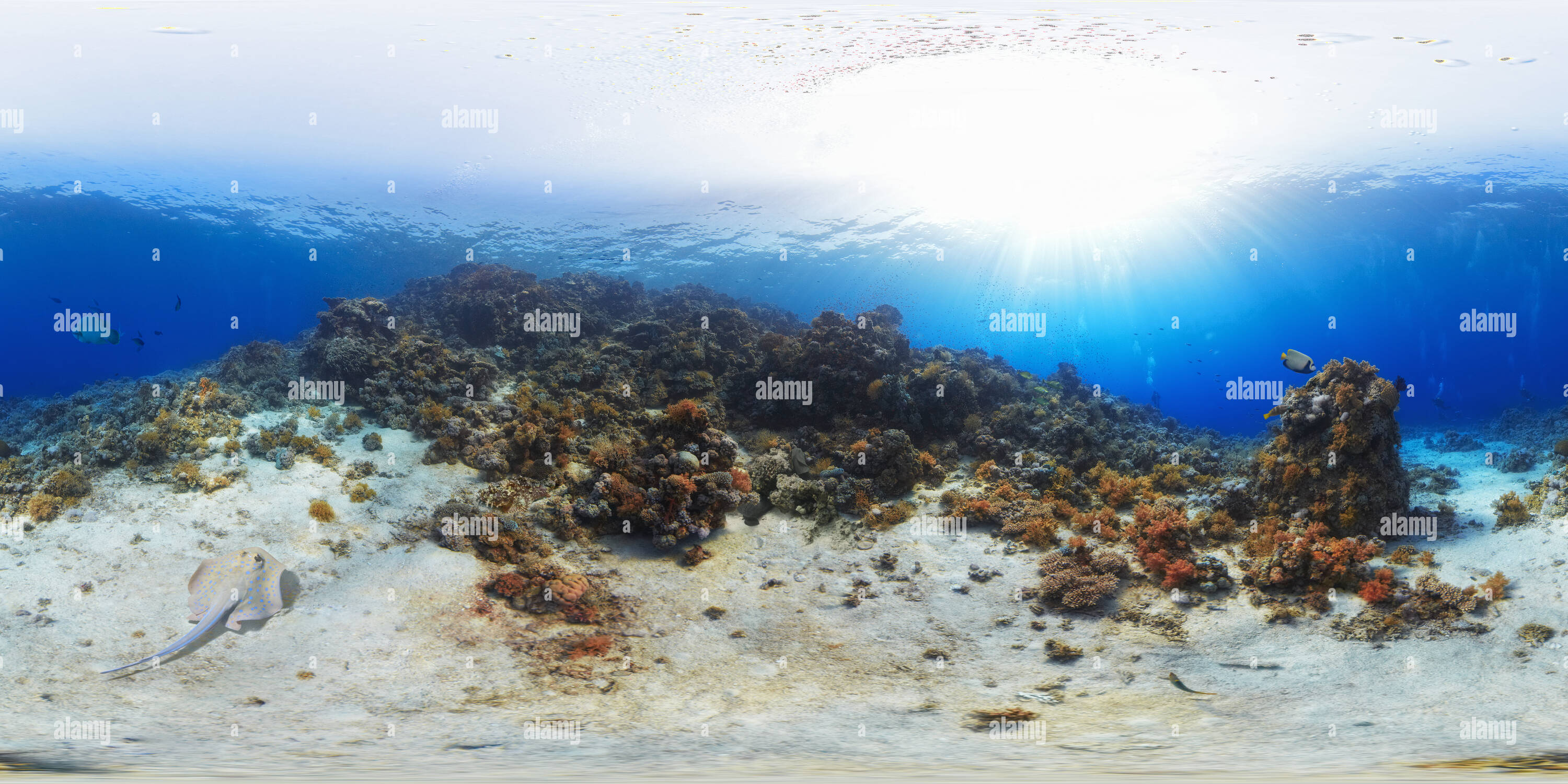 Panorama riff hi-res stock photography and images - Alamy