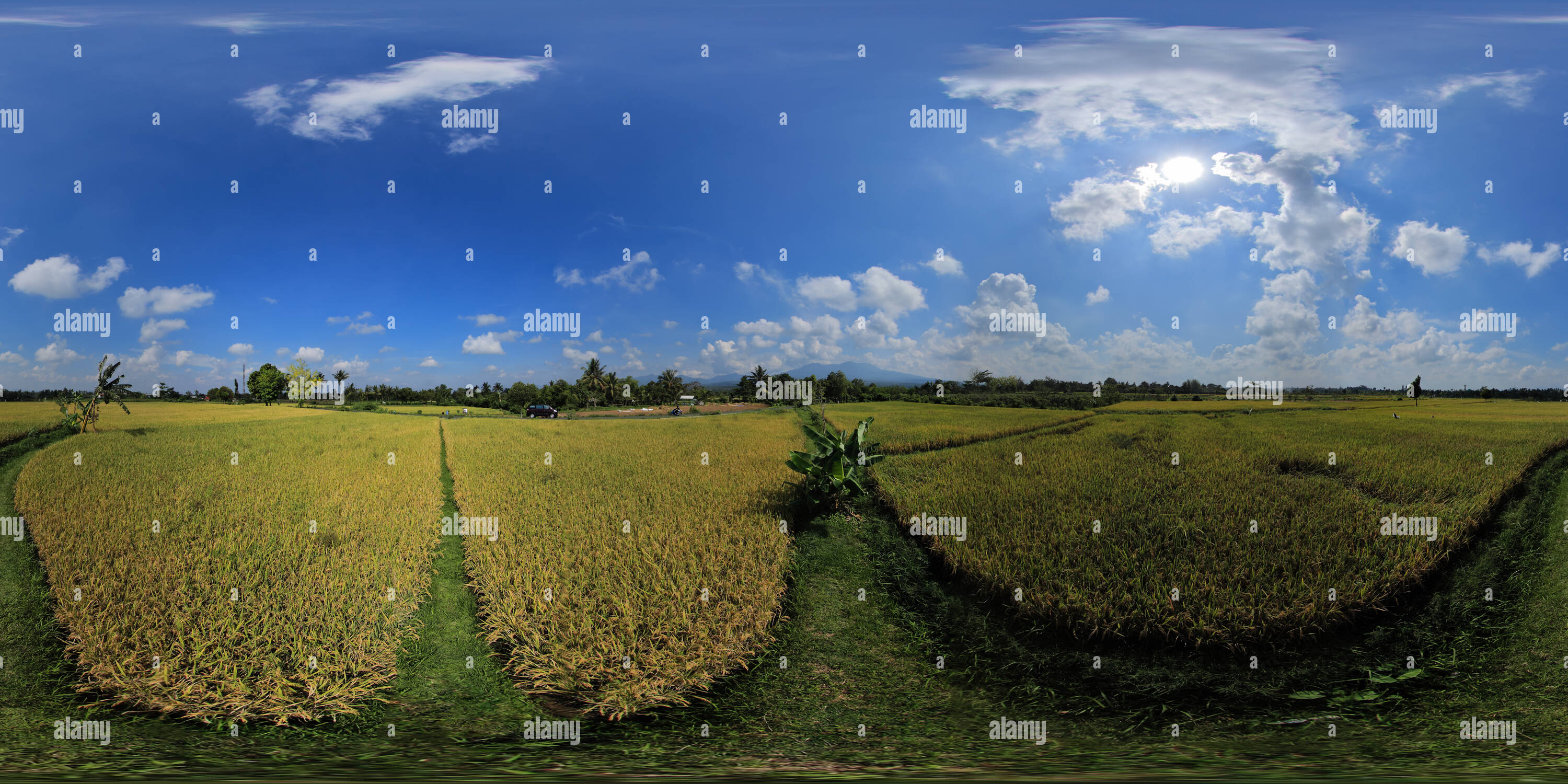 Lingsar High Resolution Stock Photography and Images - Alamy