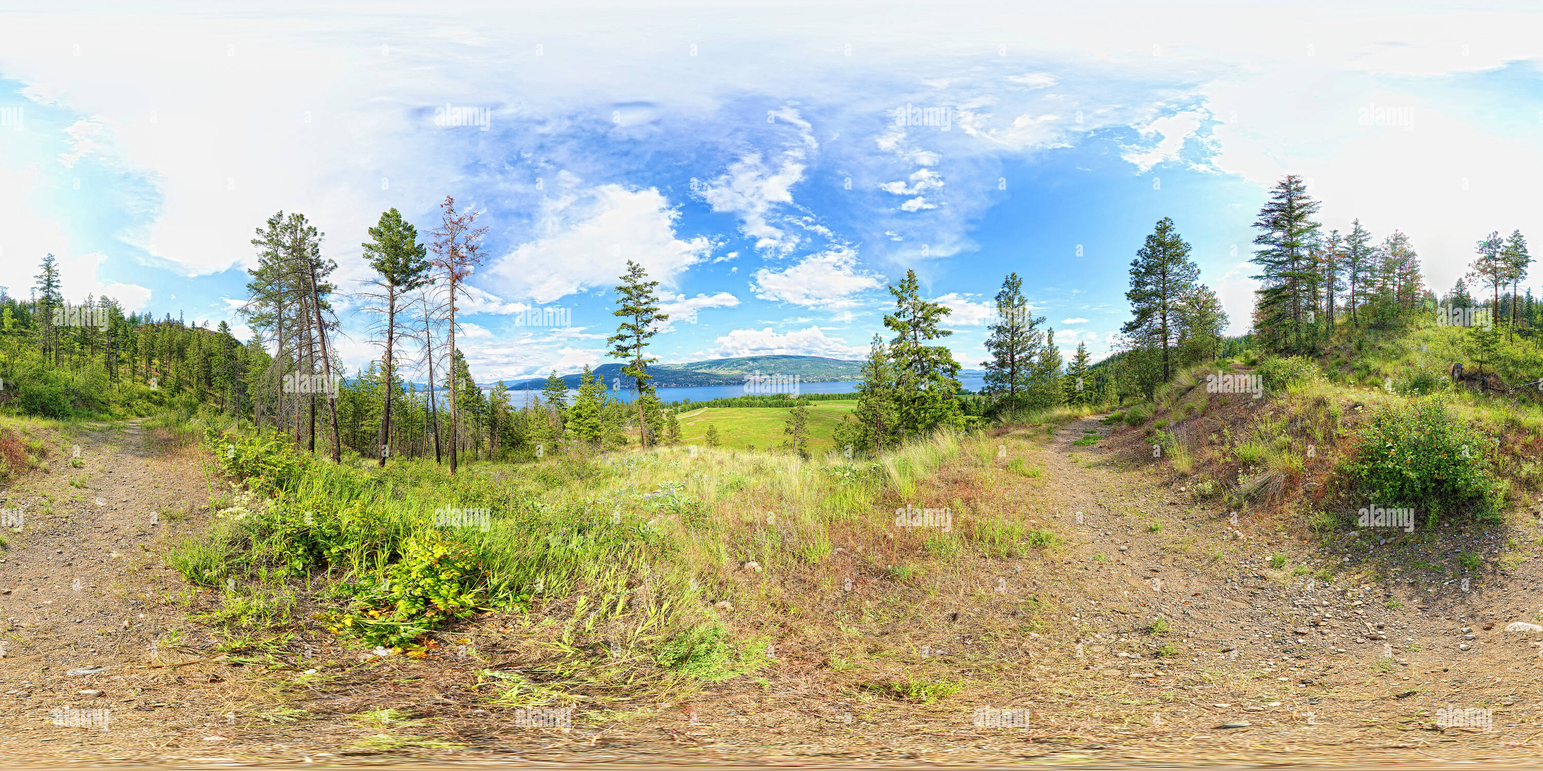 360° view of Fintry Provincial Park - Alamy