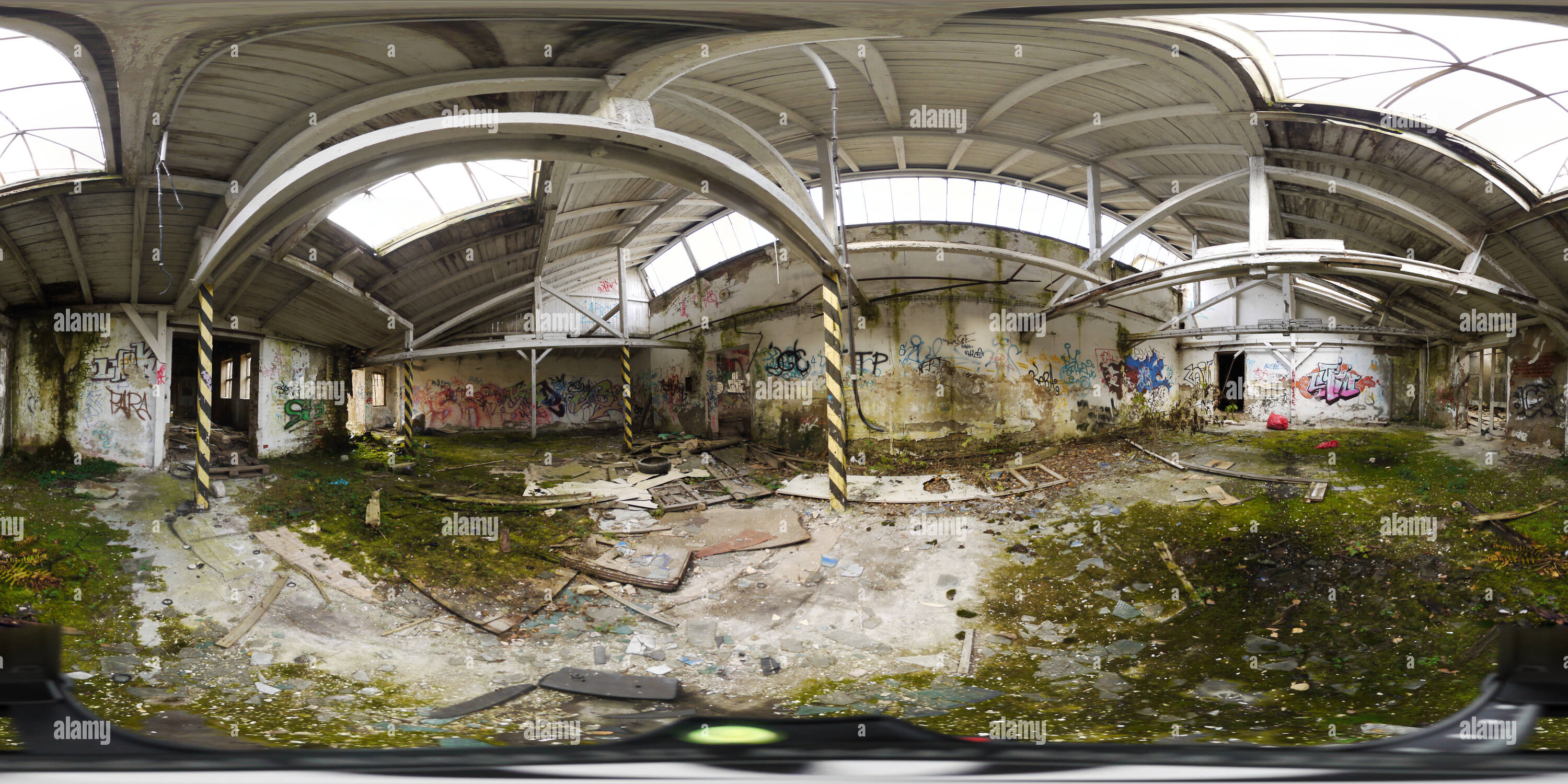 Tepp hi-res stock photography and images - Alamy