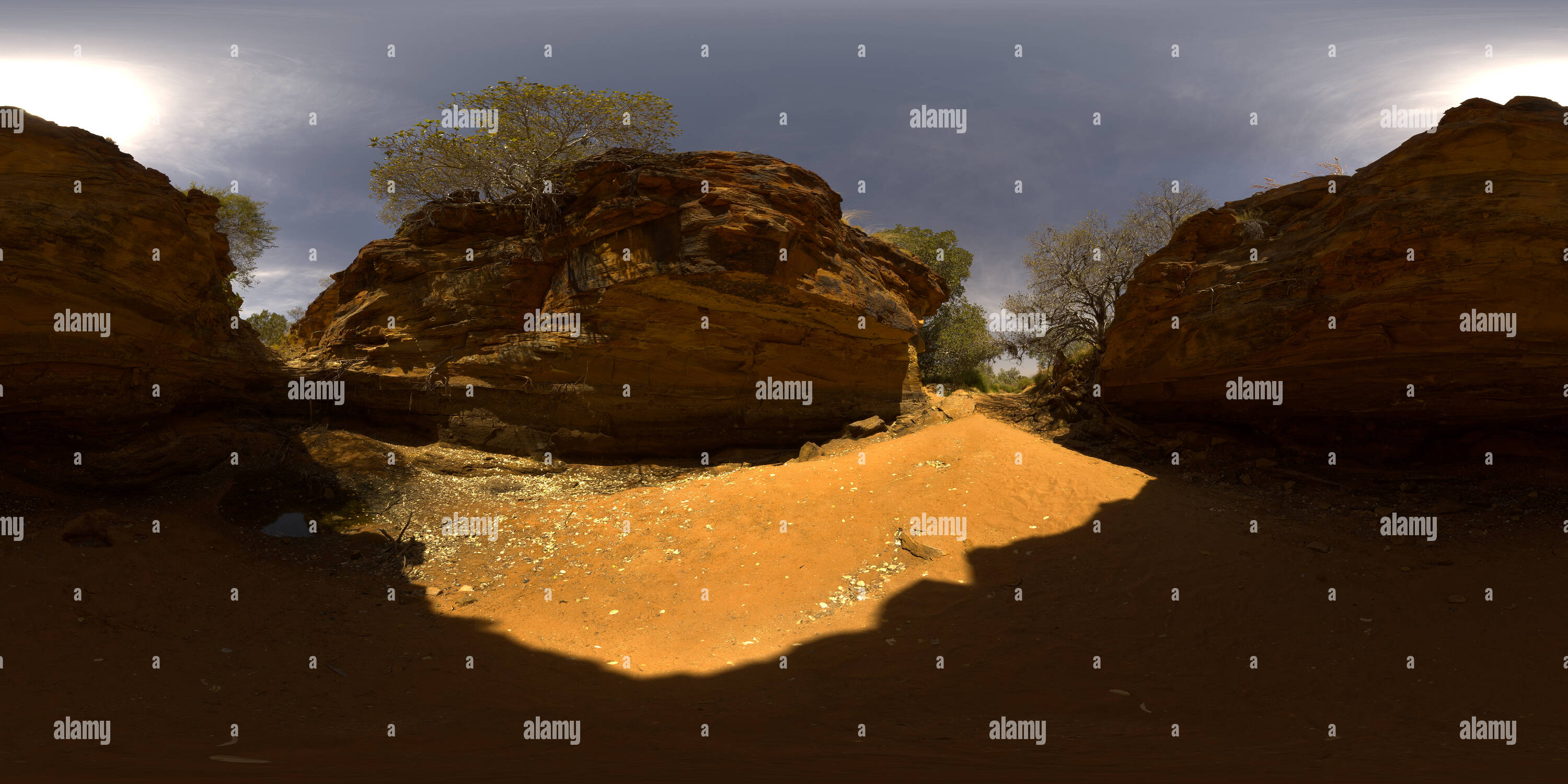 Camel pool hi-res stock photography and images - Alamy