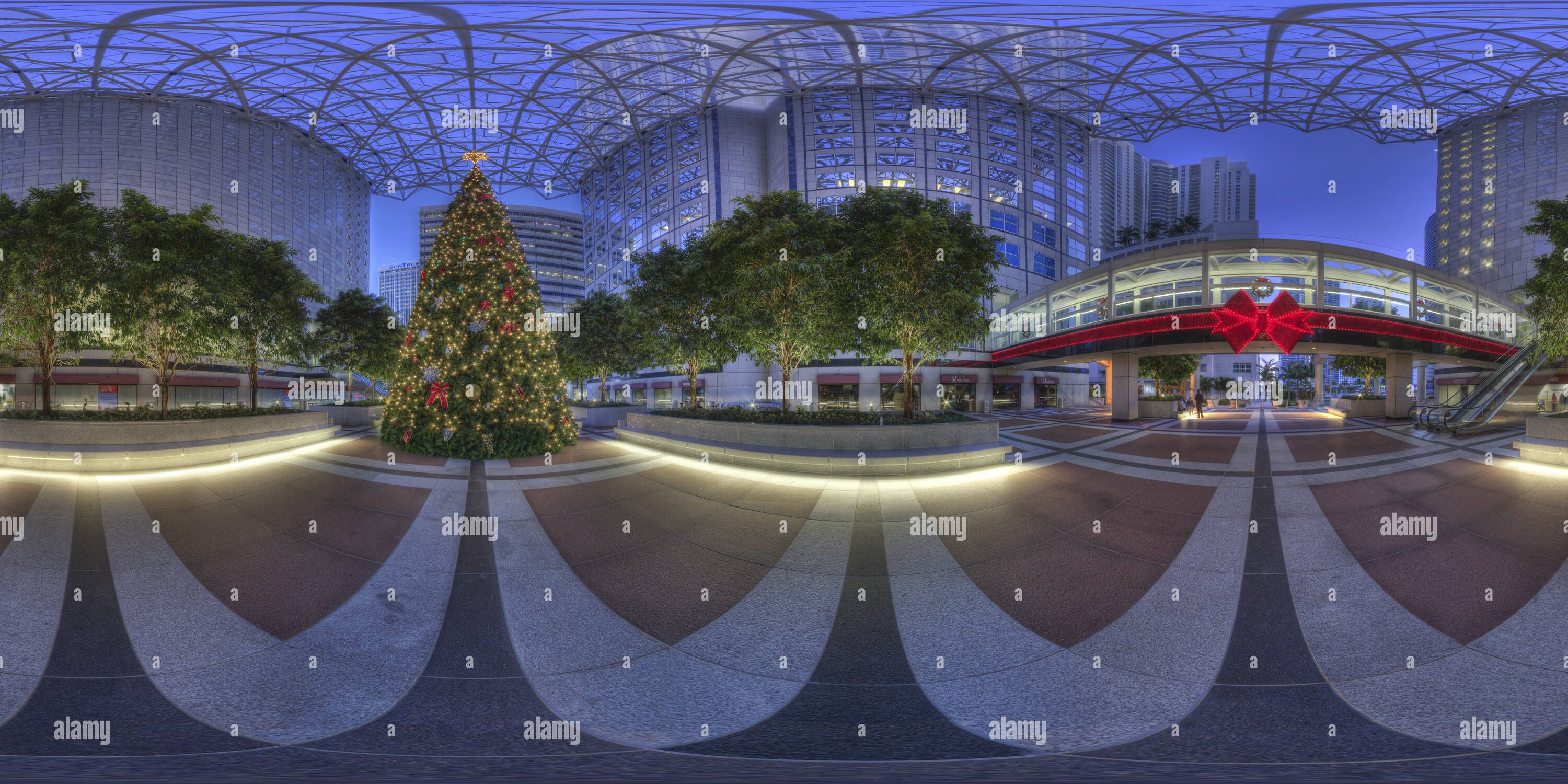 360° view of Down Town Miami Tree - Alamy