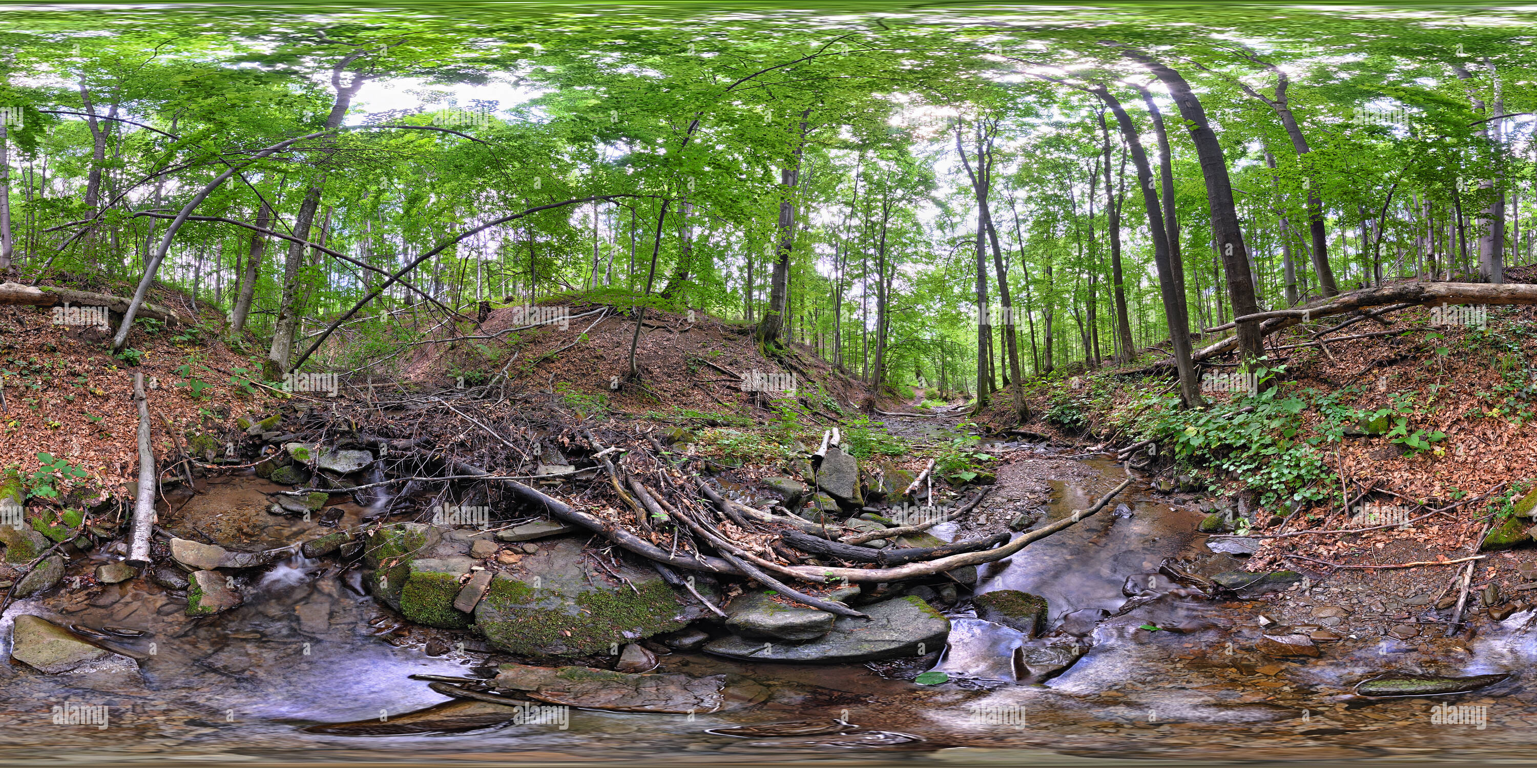 360° view of Strem at Bieszczady mountain - Alamy 360° view of Strem at Bieszczady mountain - Alamy