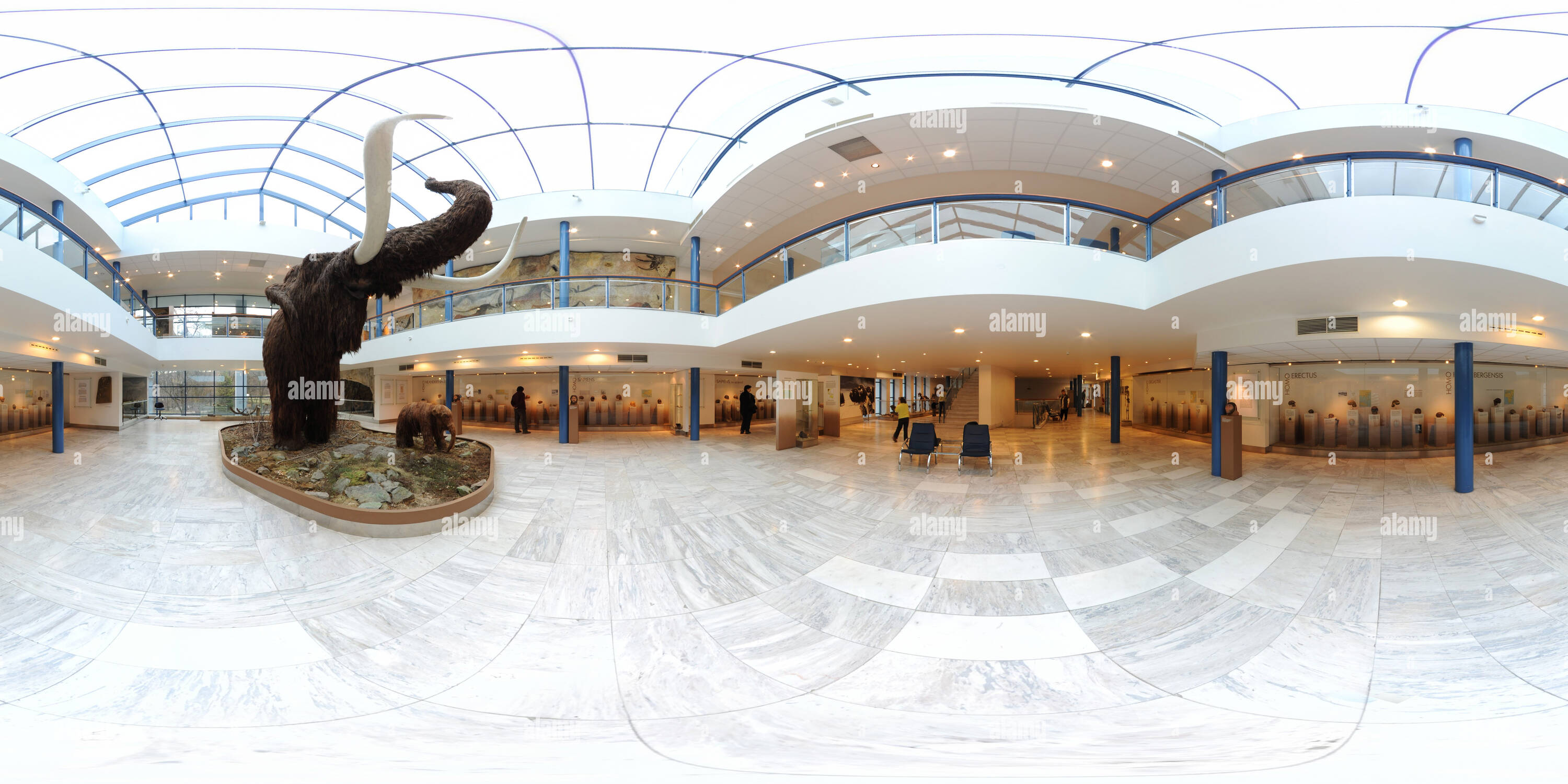 360° view of Mammoth and baby in Anthropos - Alamy