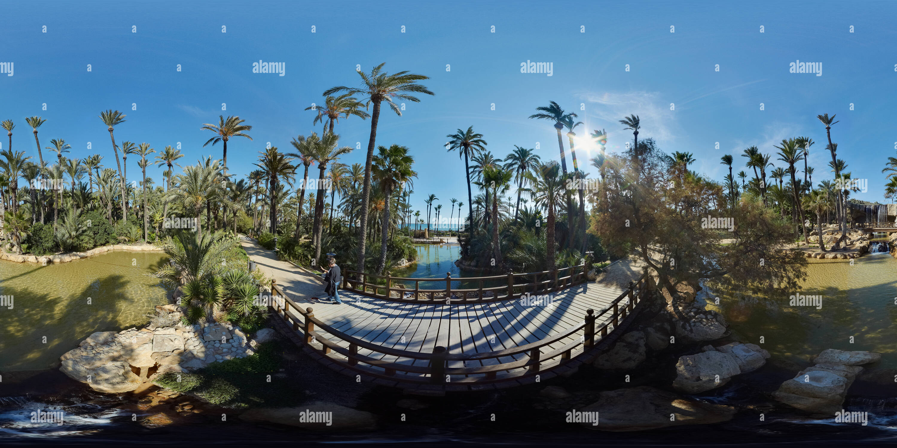 360° view of Palmeral Park, Alicante - Alamy