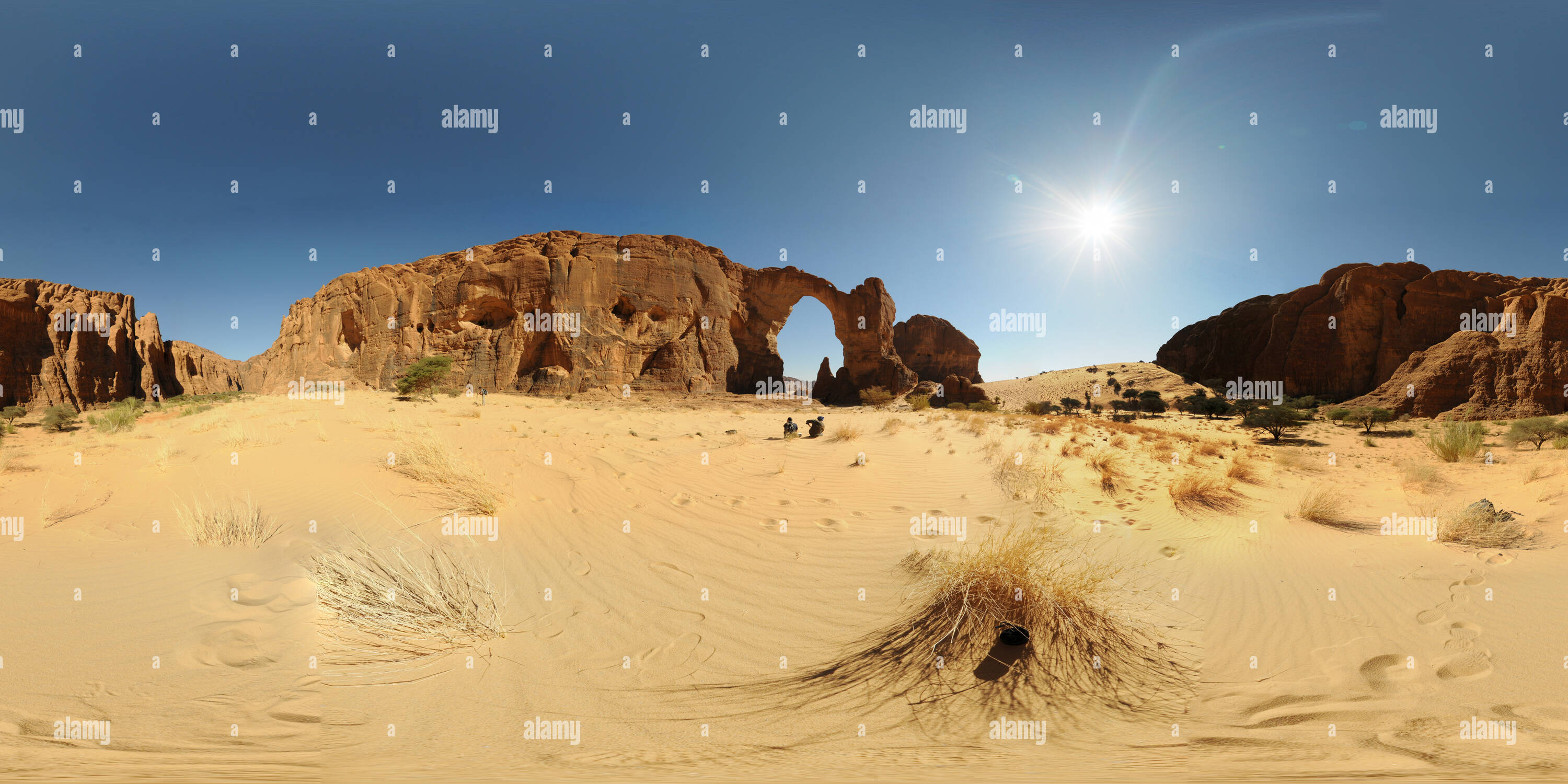 Aloba hi-res stock photography and images - Alamy