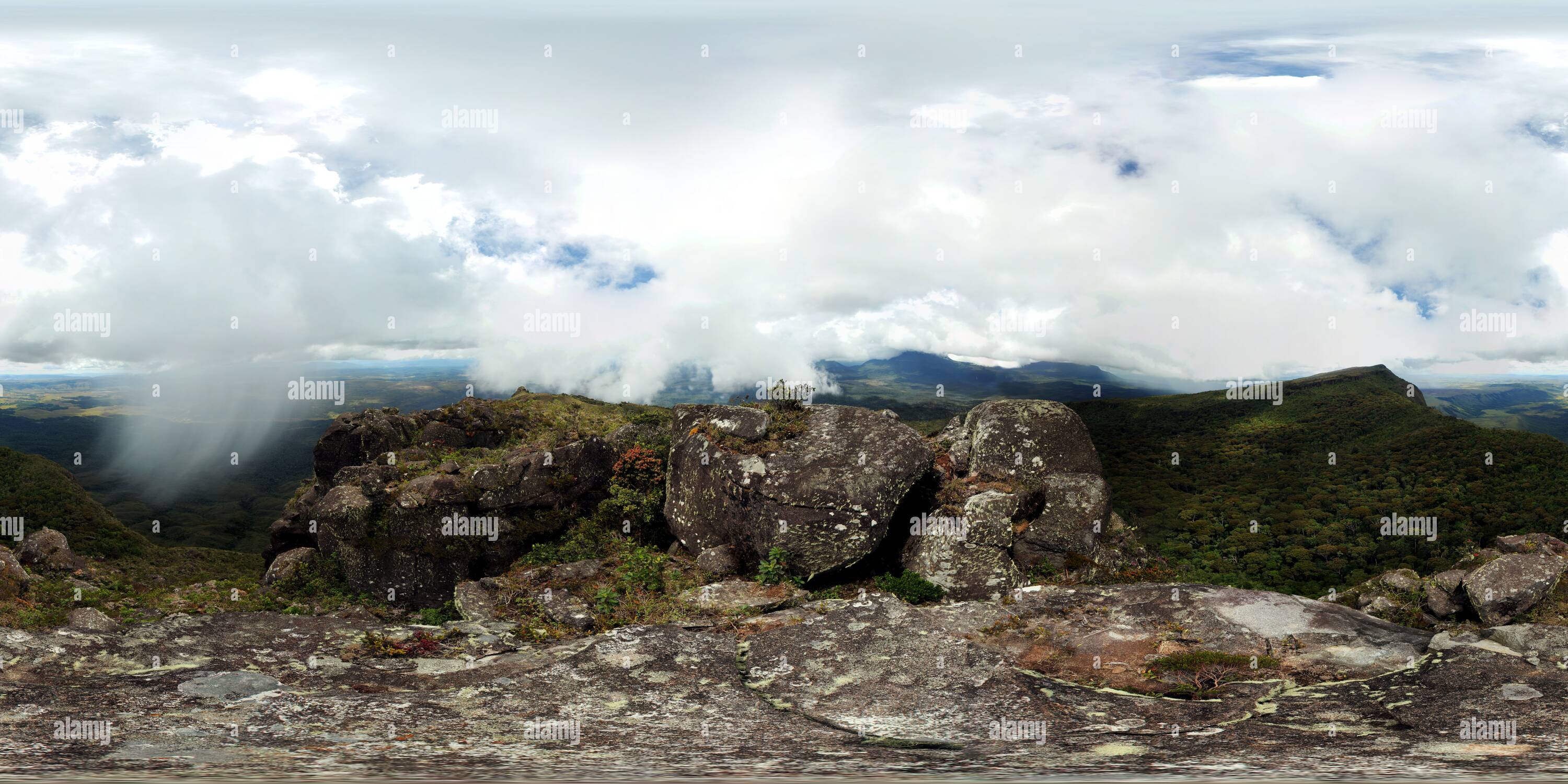 360° view of Sororopan Tepui's Summit 2, Gran Sabana, Canaima National ...