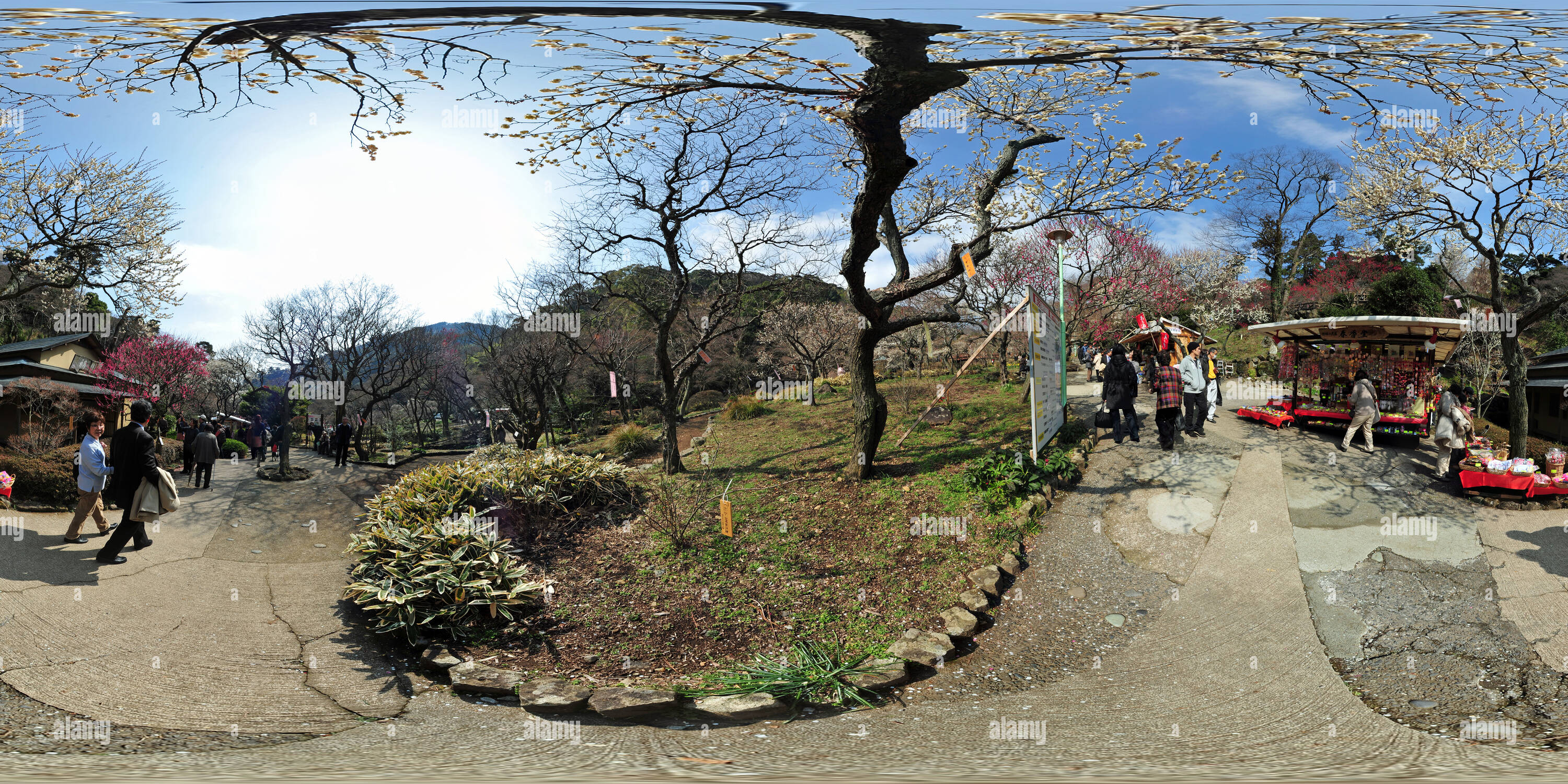 Ume garden hi-res stock photography and images - Alamy