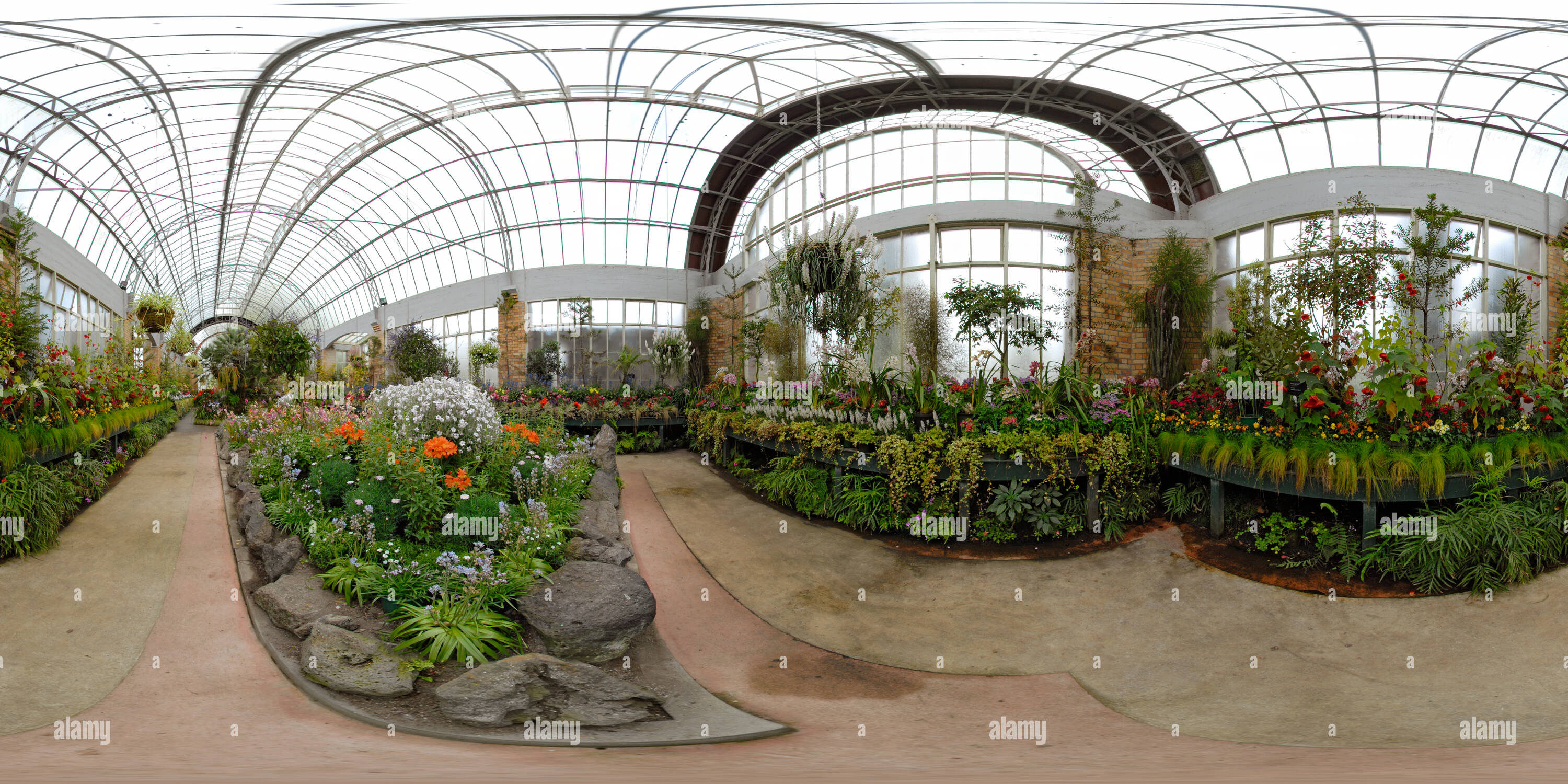 360° view of Winter Garden in Auckland Domain 4 - Alamy