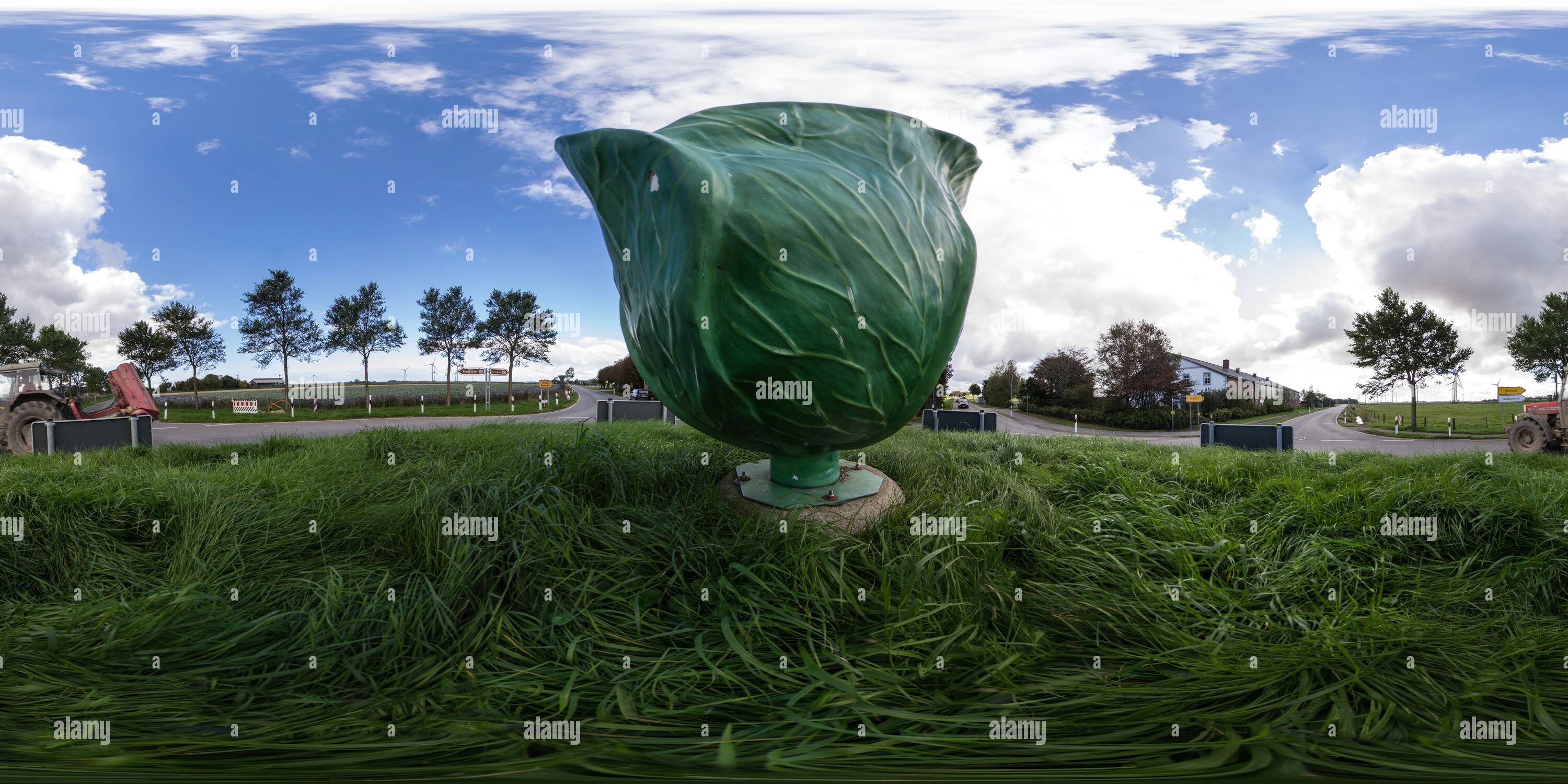 360° view of cabbage sculpture on a roundabout - Alamy