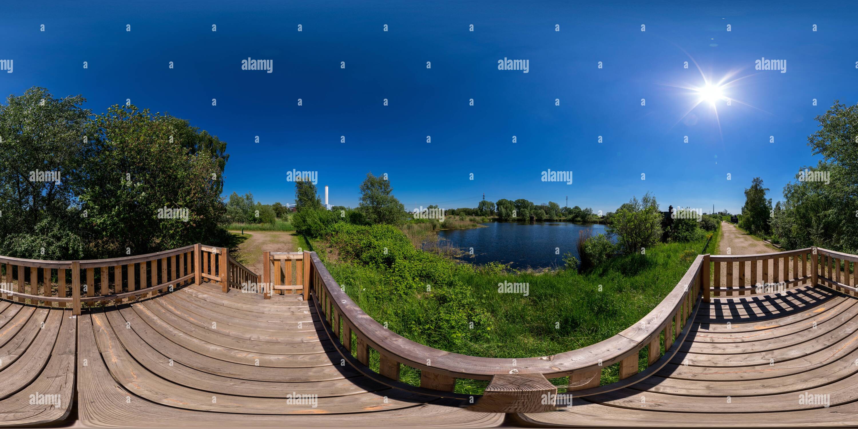 360° view of Viewing platform for birds on Kaltehofe - Alamy