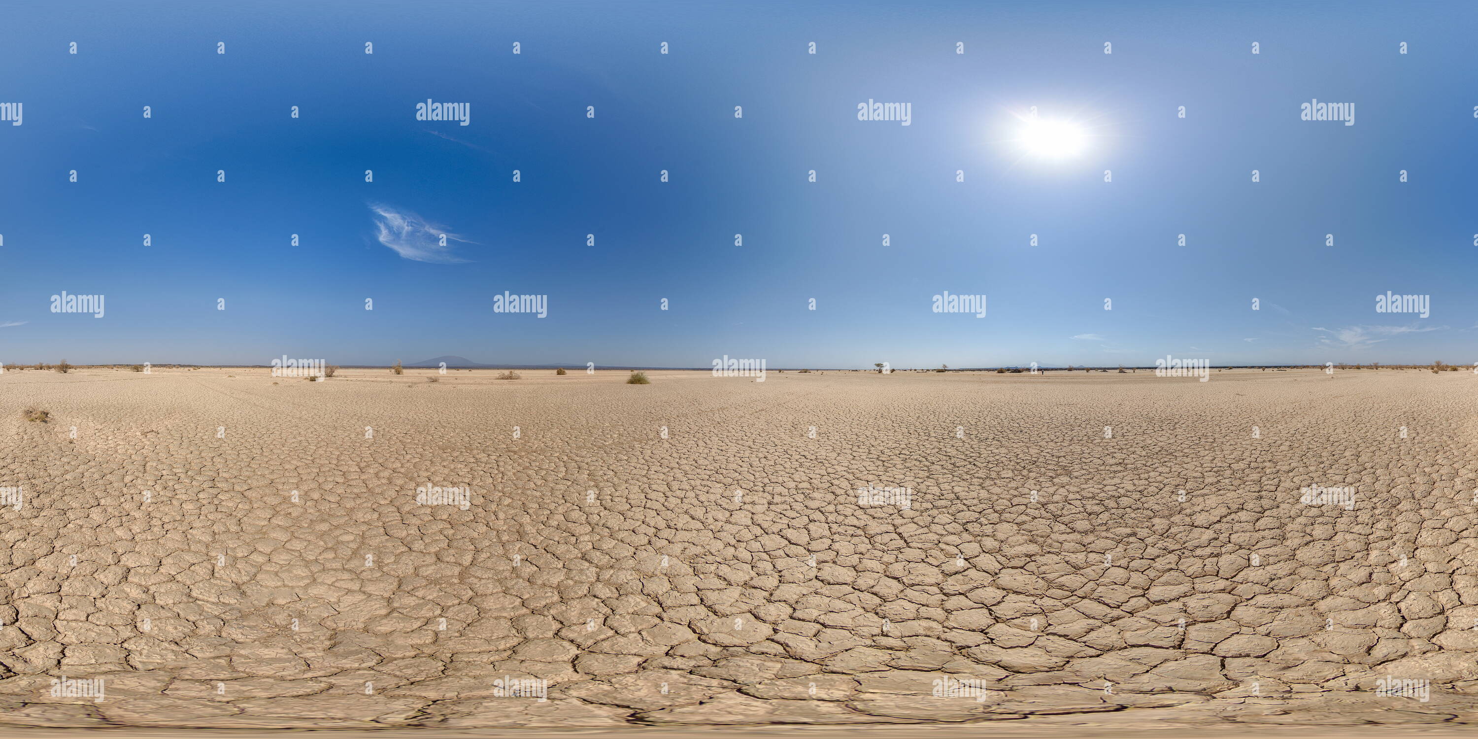 Hot damn hi-res stock photography and images - Alamy