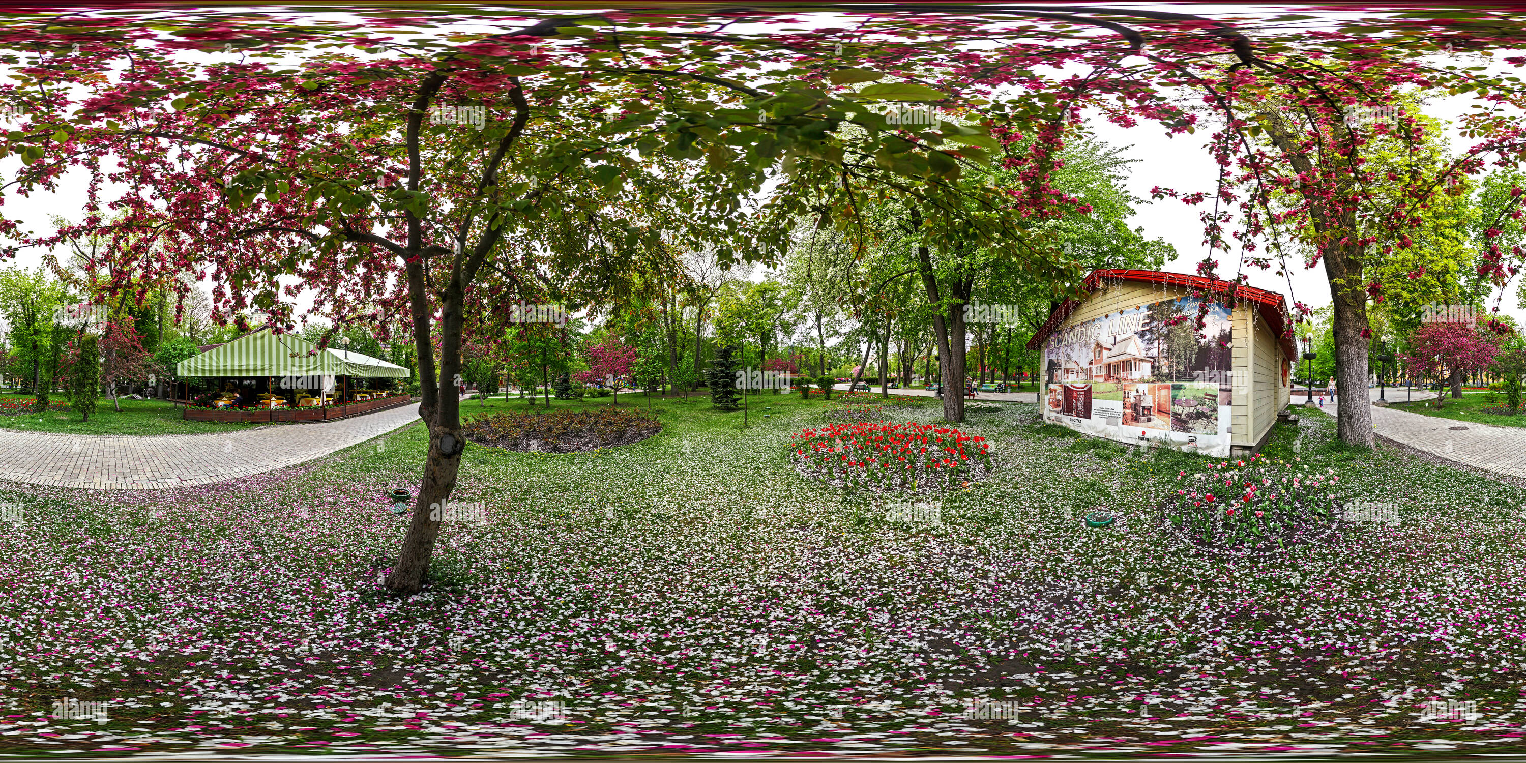 360° view of Taras Shevchenko park in spring - Kiev - Alamy
