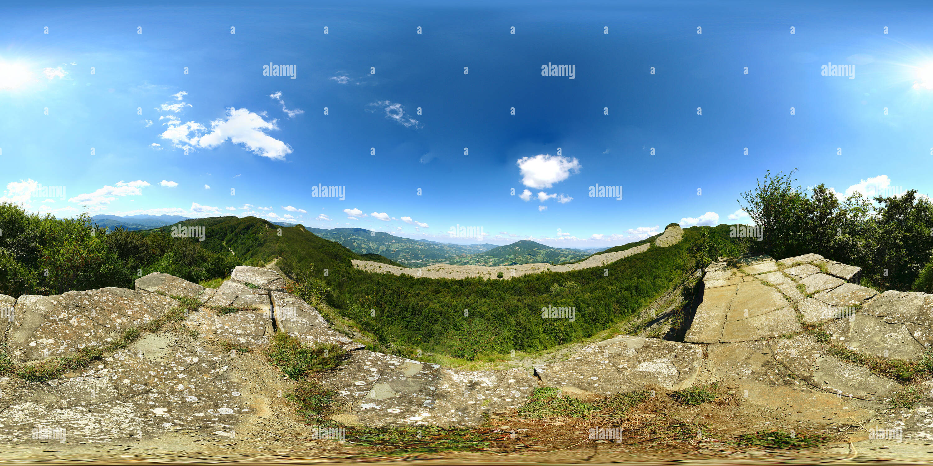 Varsi hi-res stock photography and images - Alamy
