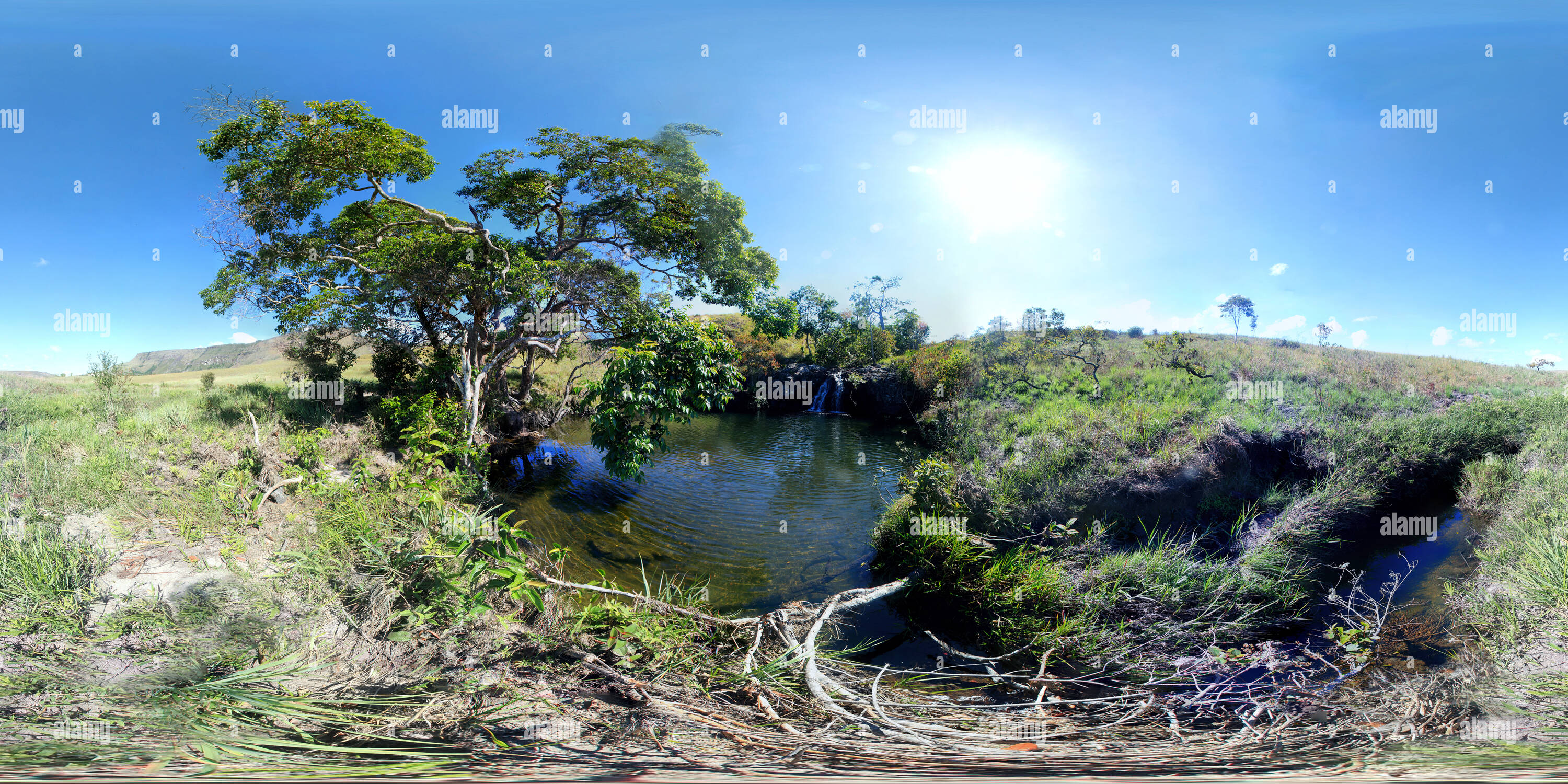 360° view of Chirikayen Tepui: Pond, Canaima National Park (Venezuela ...