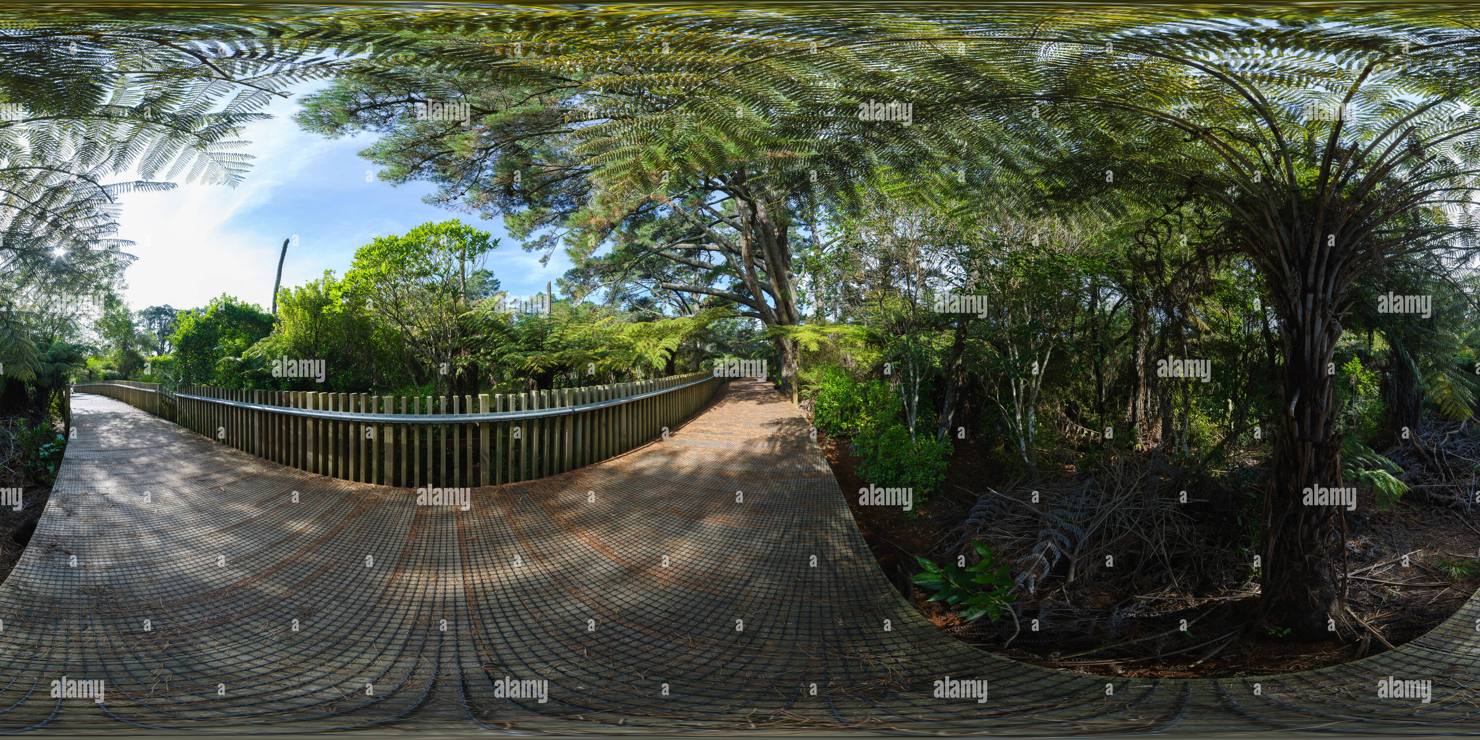 360° view of Unsworth reserve walkway - Alamy