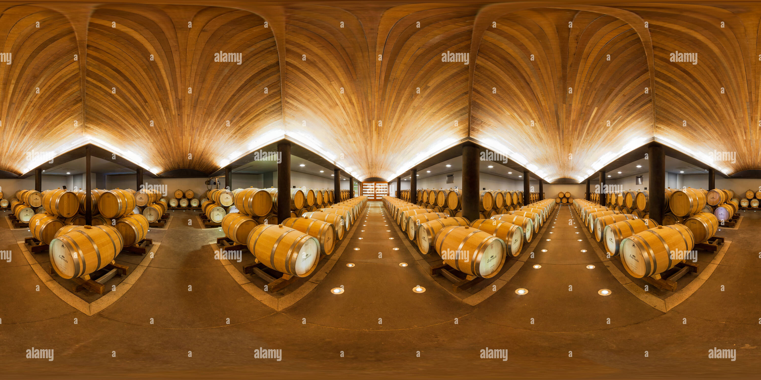360° view of lapostolle clos de apalta wine cellar in chile - Alamy