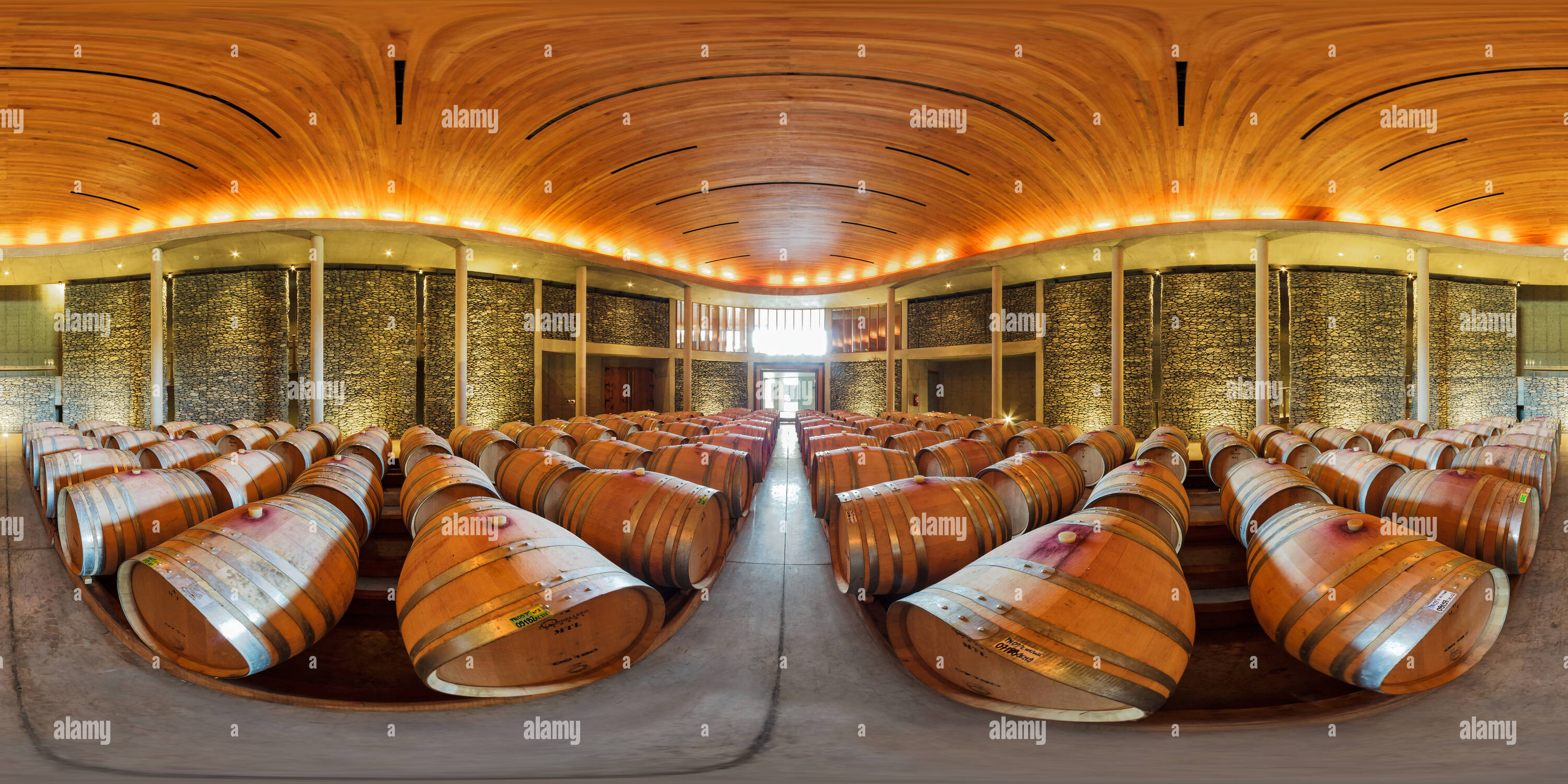 360° view of Matetic vineyards in chile - Alamy
