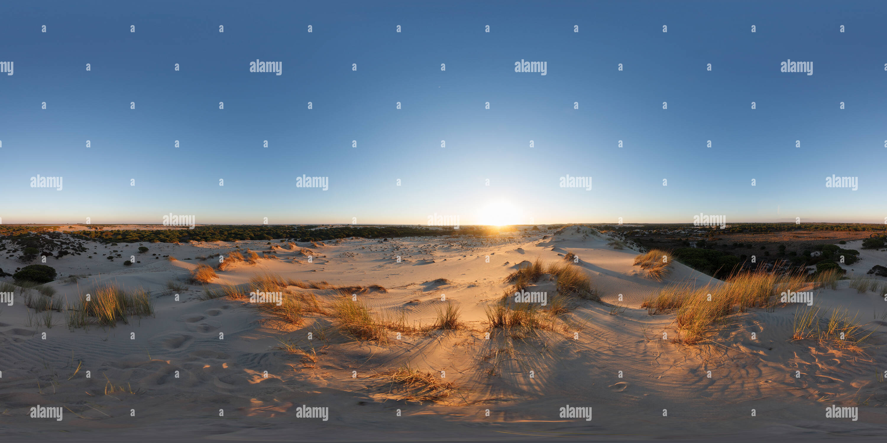 360° view of doñana national park. spain - Alamy
